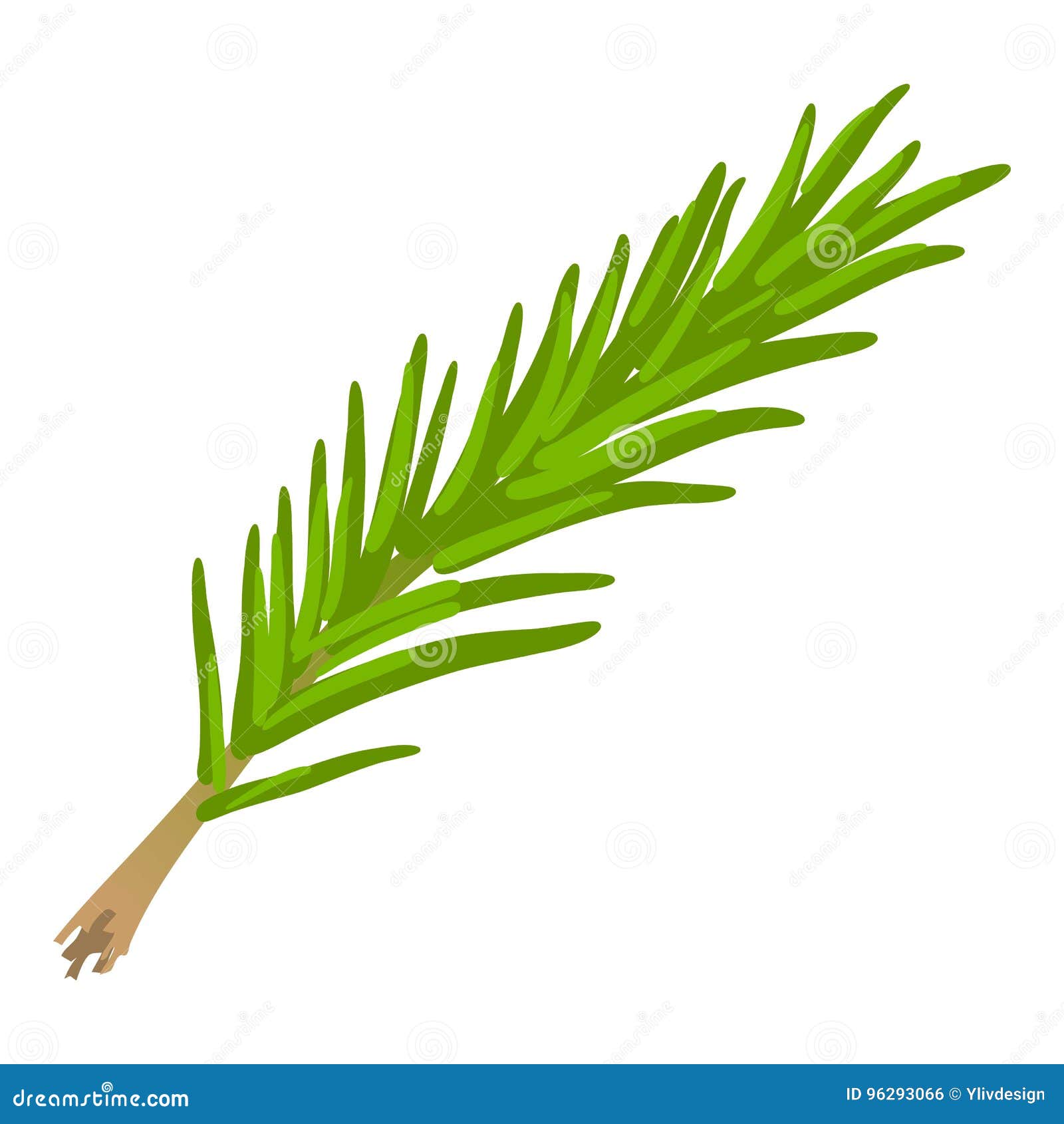 Rosemary Icon, Cartoon Style Stock Vector - Illustration of decoration ...