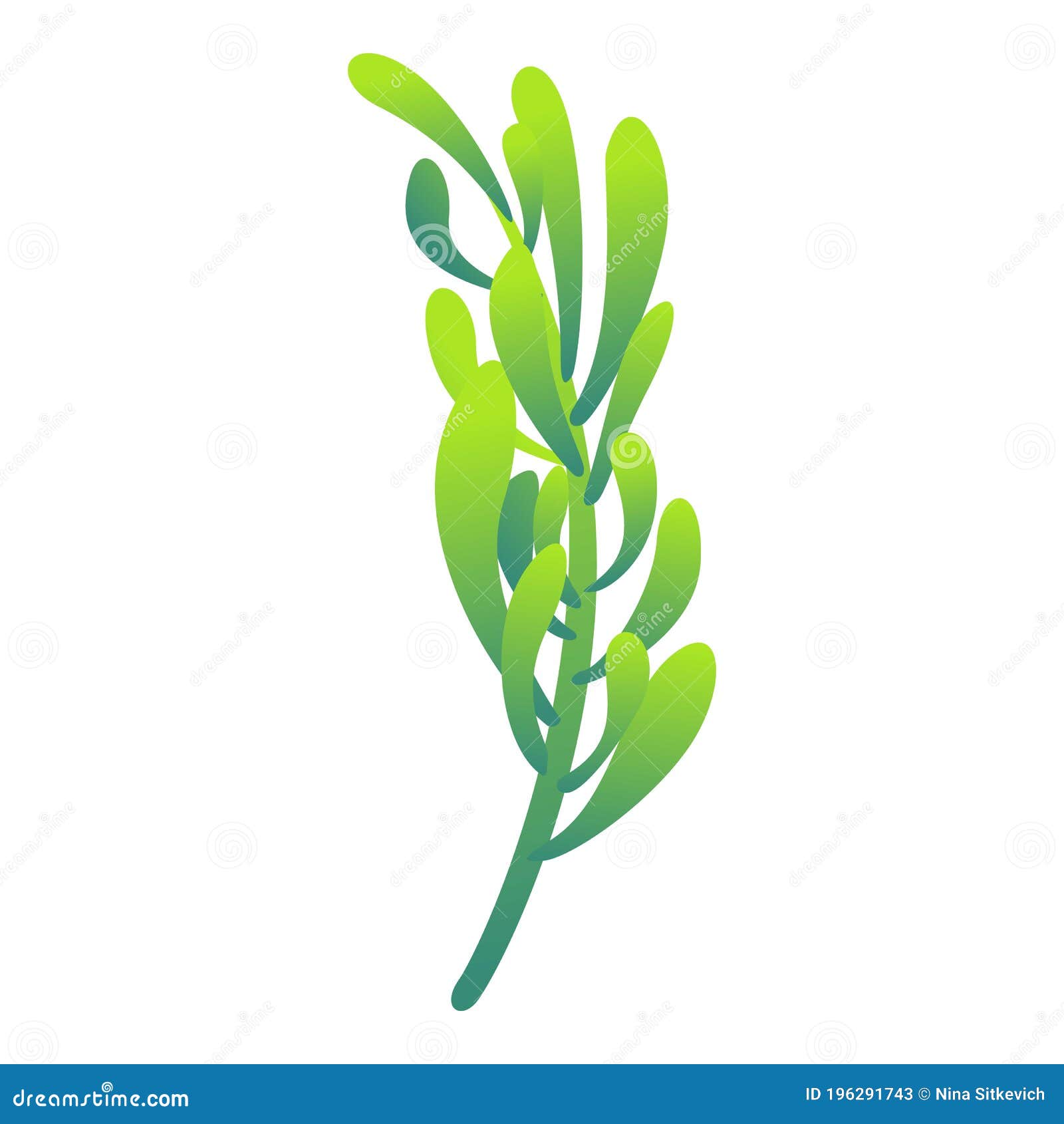 Rosemary Icon, Cartoon Style Stock Vector - Illustration of ingredient ...