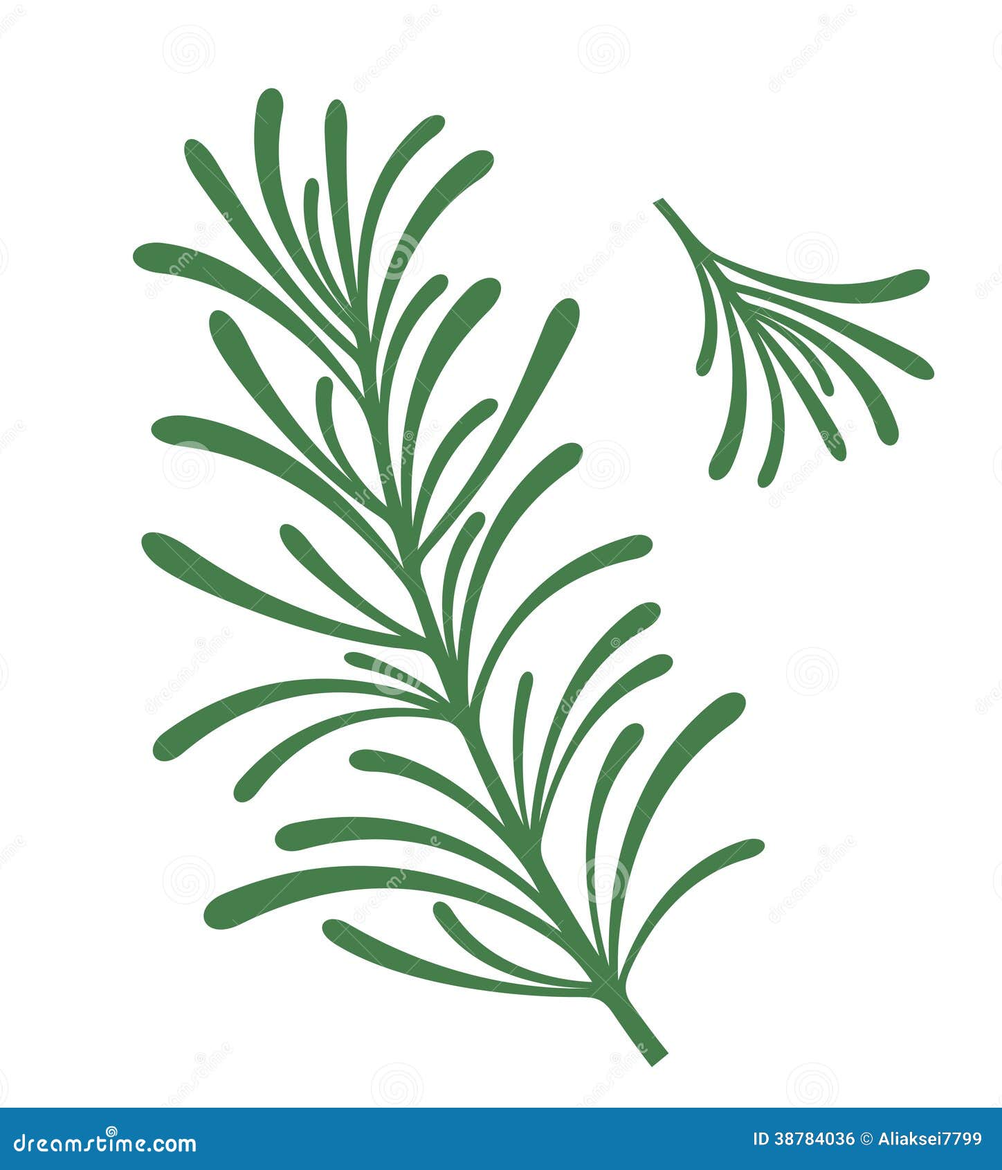 Rosemary Stock Illustrations – 3,658 Rosemary Stock Illustrations ...