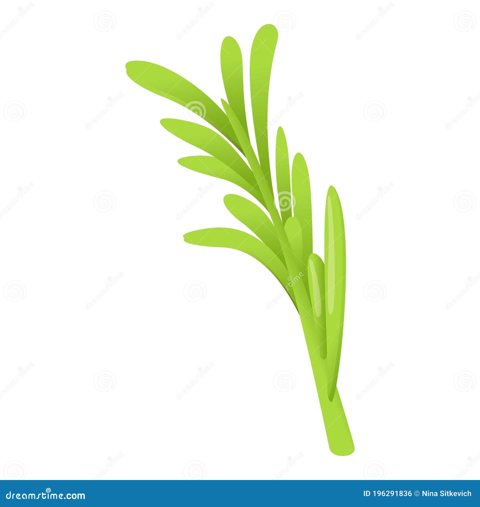 Rosemary Leaf Icon, Cartoon Style Stock Vector - Illustration of ...