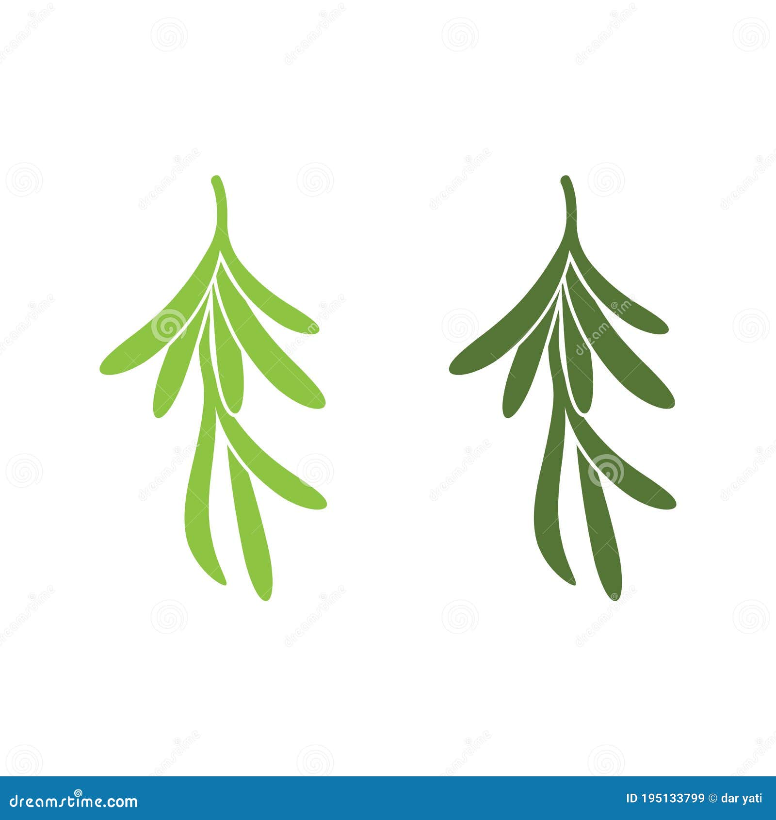 Rosemary Leaf Vector Logo Illustration Template Stock Vector ...