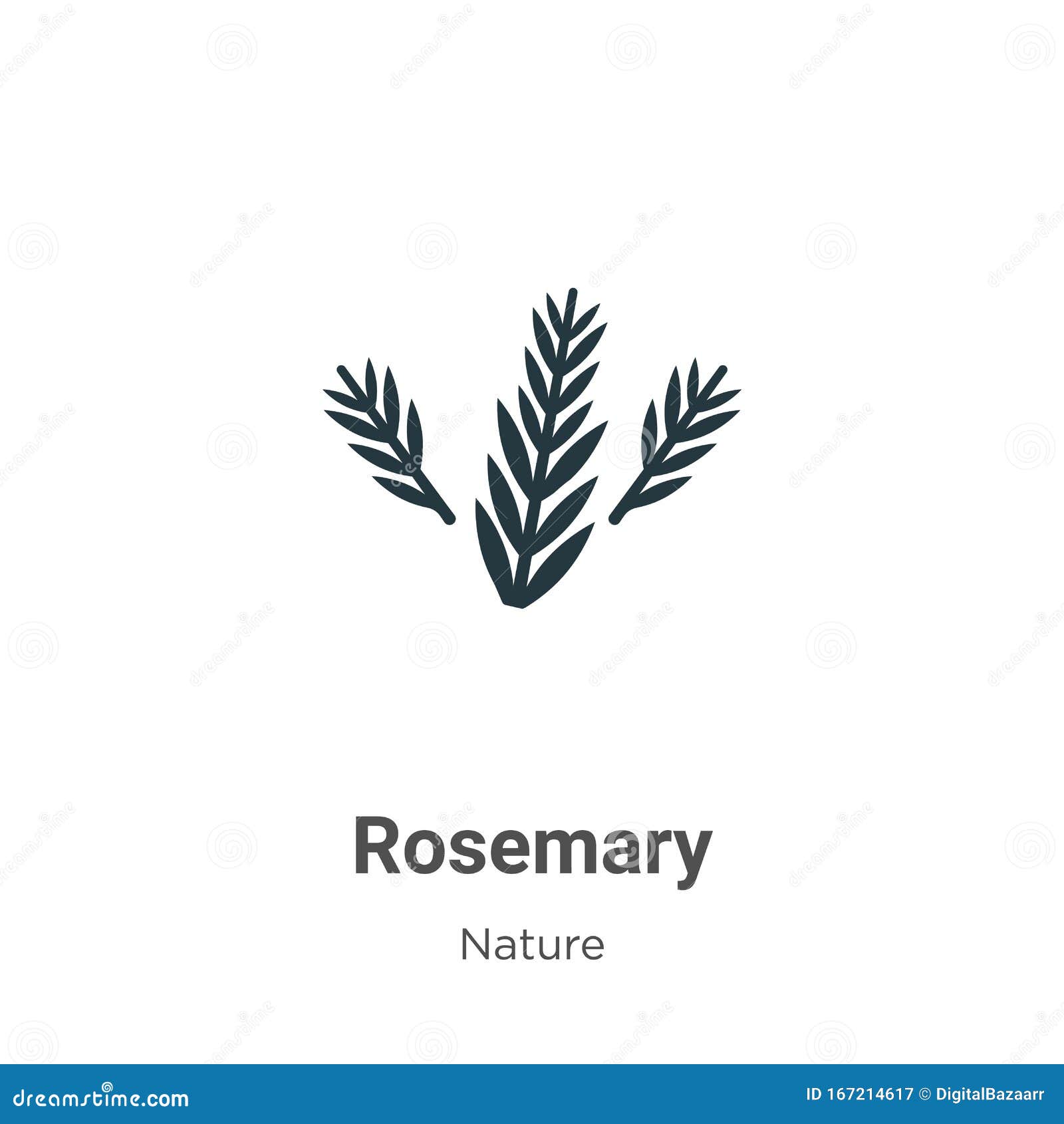Rosemary Outline Vector Icon. Thin Line Black Rosemary Icon, Flat ...