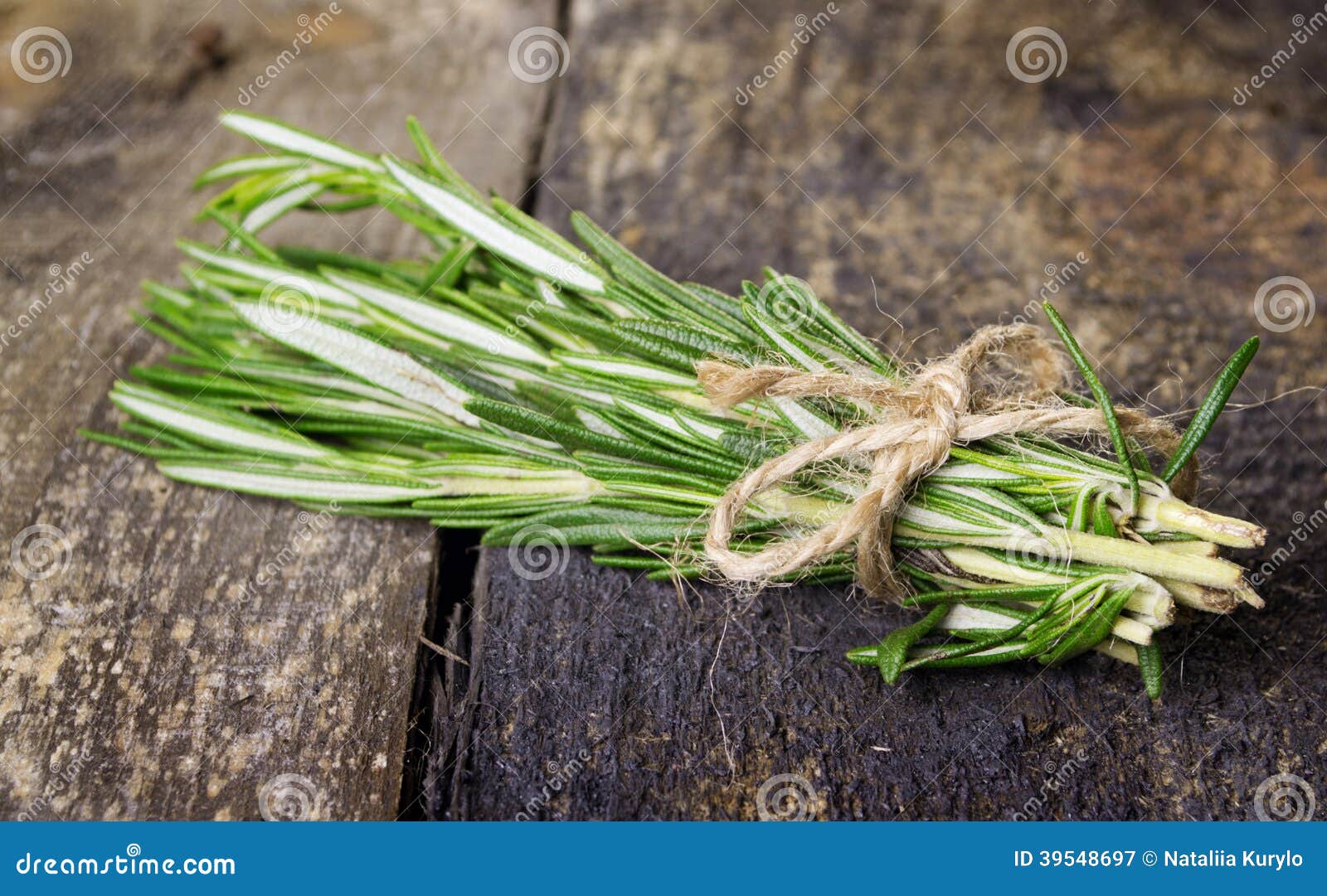 Rosemary stock image. Image of branch, leaf, sheaf, plant - 39548697