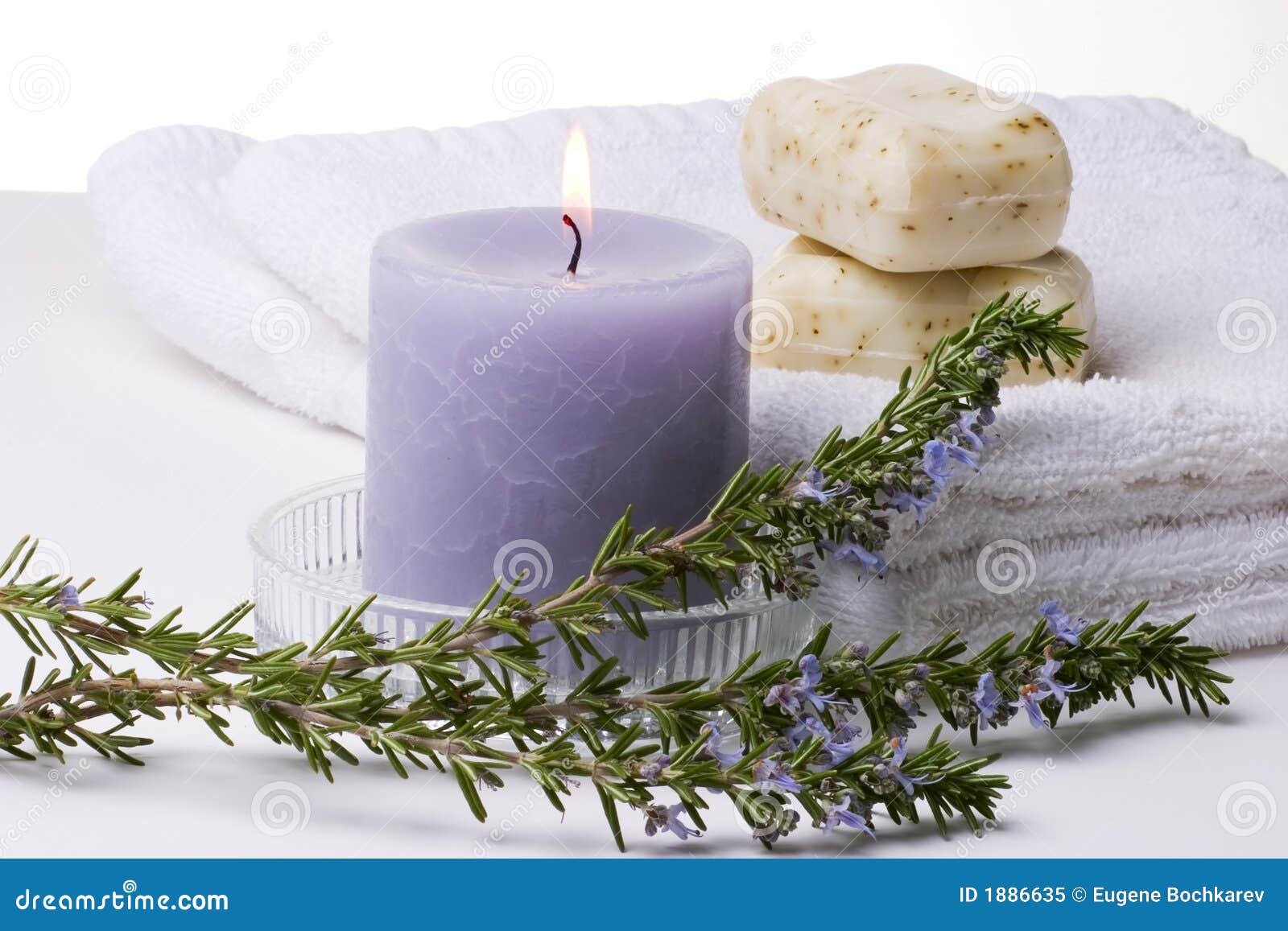 Rosemary spa set stock image. Image of beauty, meditating - 1886635