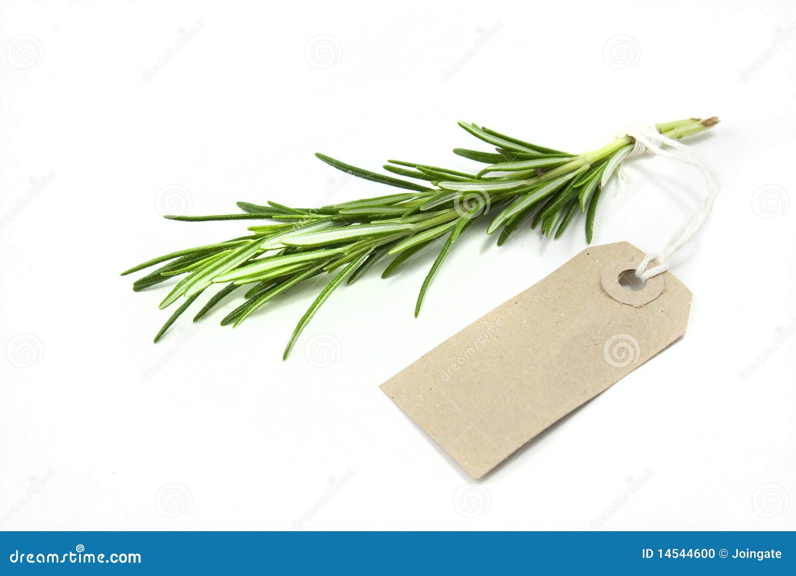 Rosemary and tag stock photo. Image of stalk, stem, label - 14544600