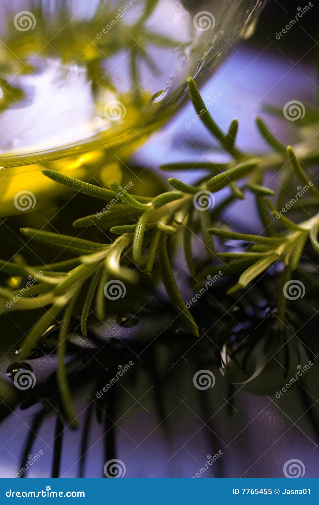 35,876 Twig Spice Stock Photos - Free & Royalty-Free Stock Photos from ...