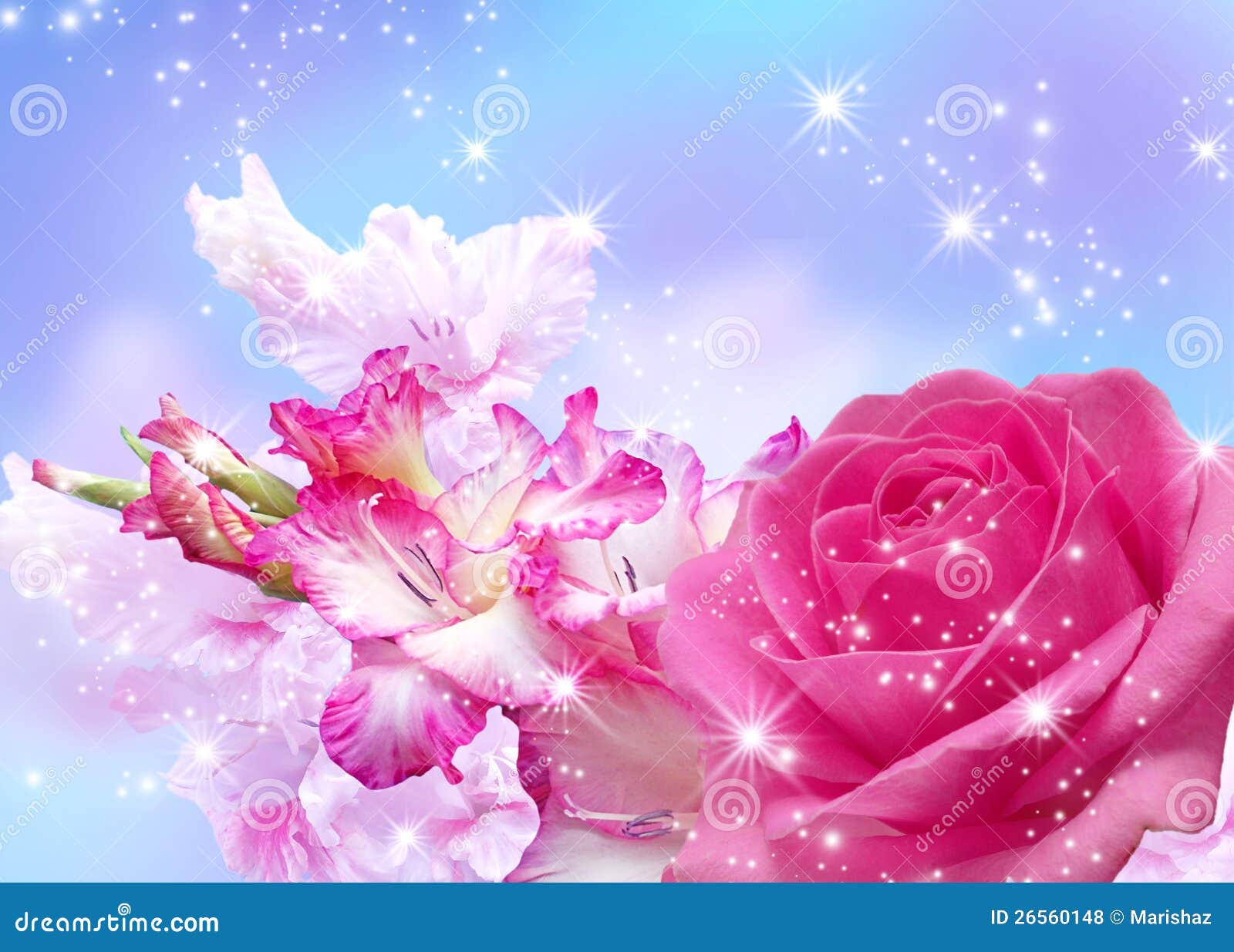 Rosen-und Gladiolusblüte stock abbildung. Illustration von tageslicht ...