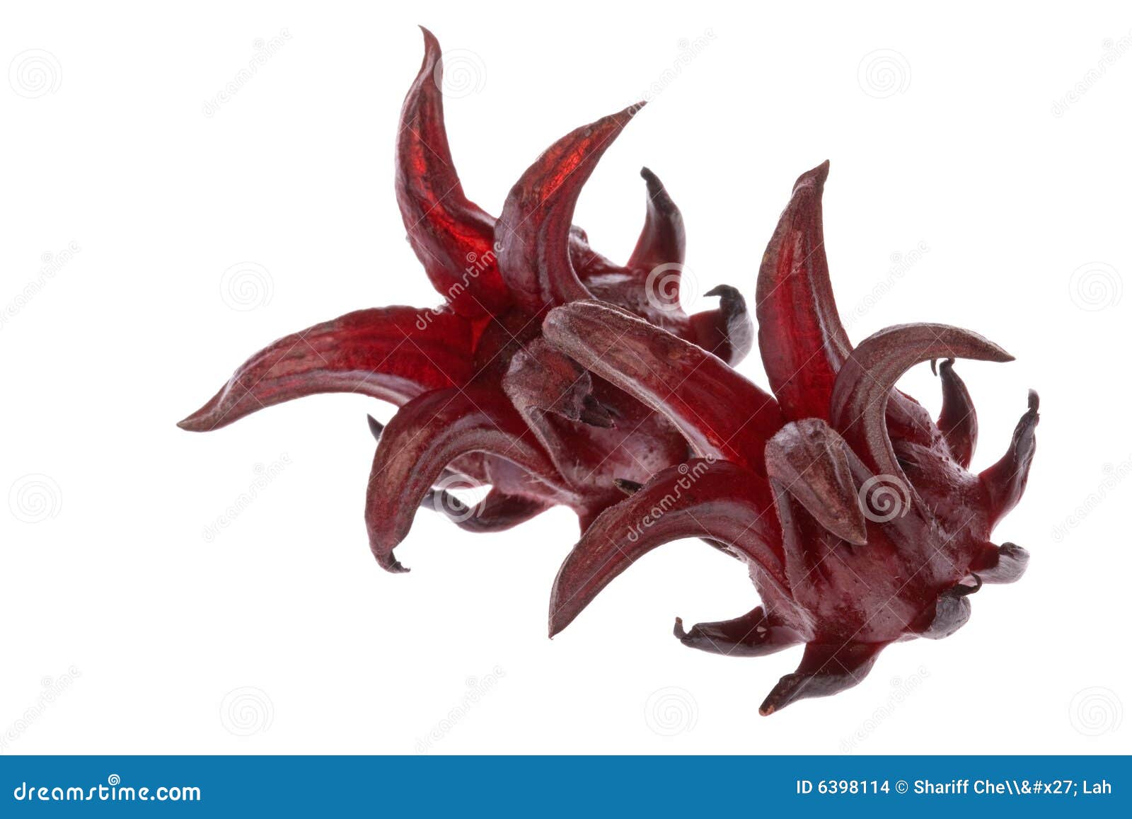 Ribena Flowers Stock Photos - Free & Royalty-Free Stock Photos from ...