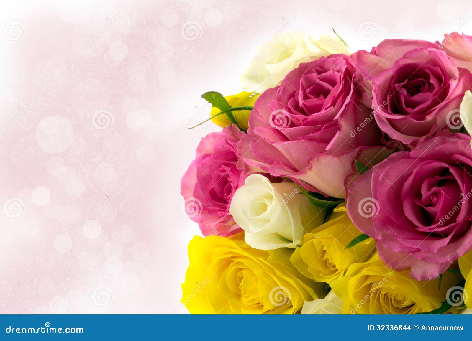 Roses photo stock. Image du pâques, mariage, romantique - 32336844