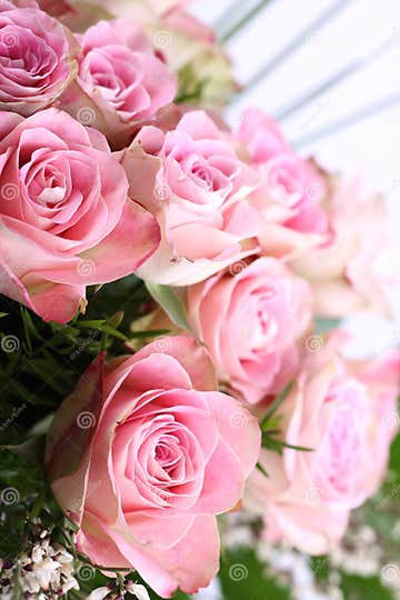 Roses stock photo. Image of roses, bouquet, bunch, gift - 5176022