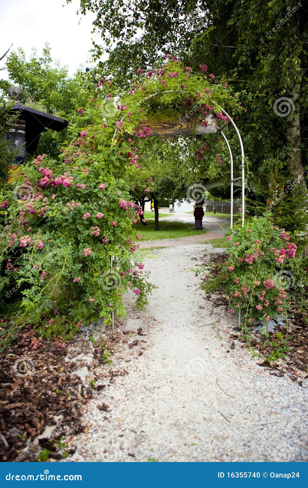 Roses arch in the garden stock photo. Image of fresh - 16355740