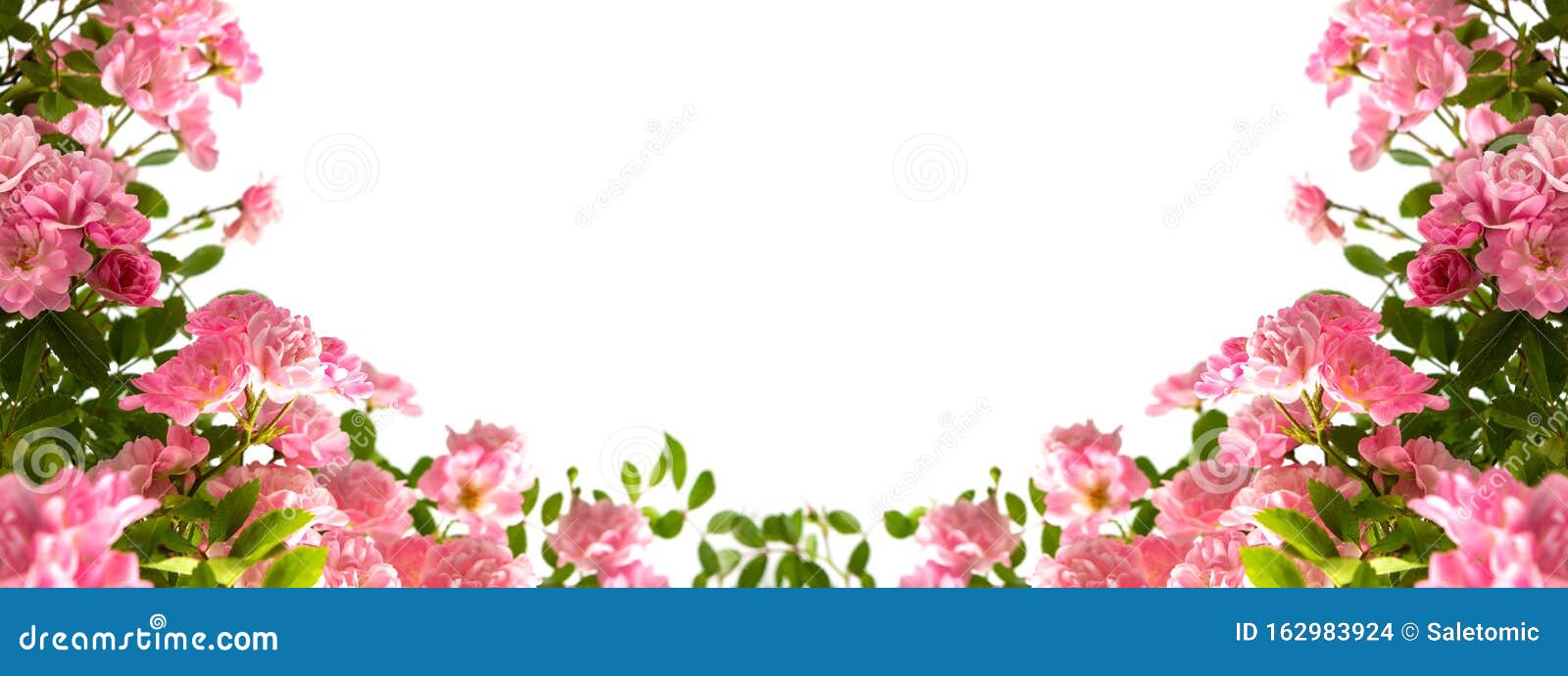 Roses Roses Roses Roses Avec Espace De Copie En Blanc Photo stock ...
