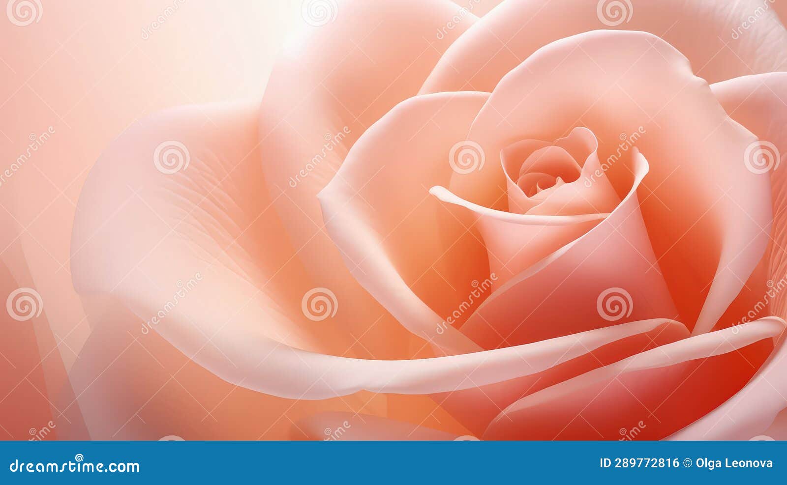 Roses banner stock illustration. Illustration of romantic - 289772816