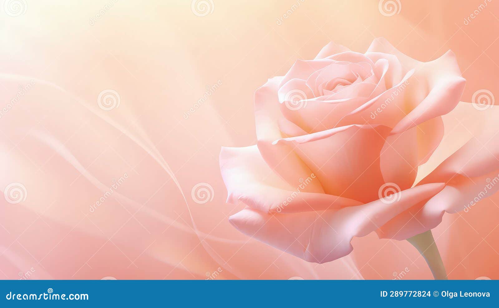 Roses banner stock illustration. Illustration of spring - 289772824