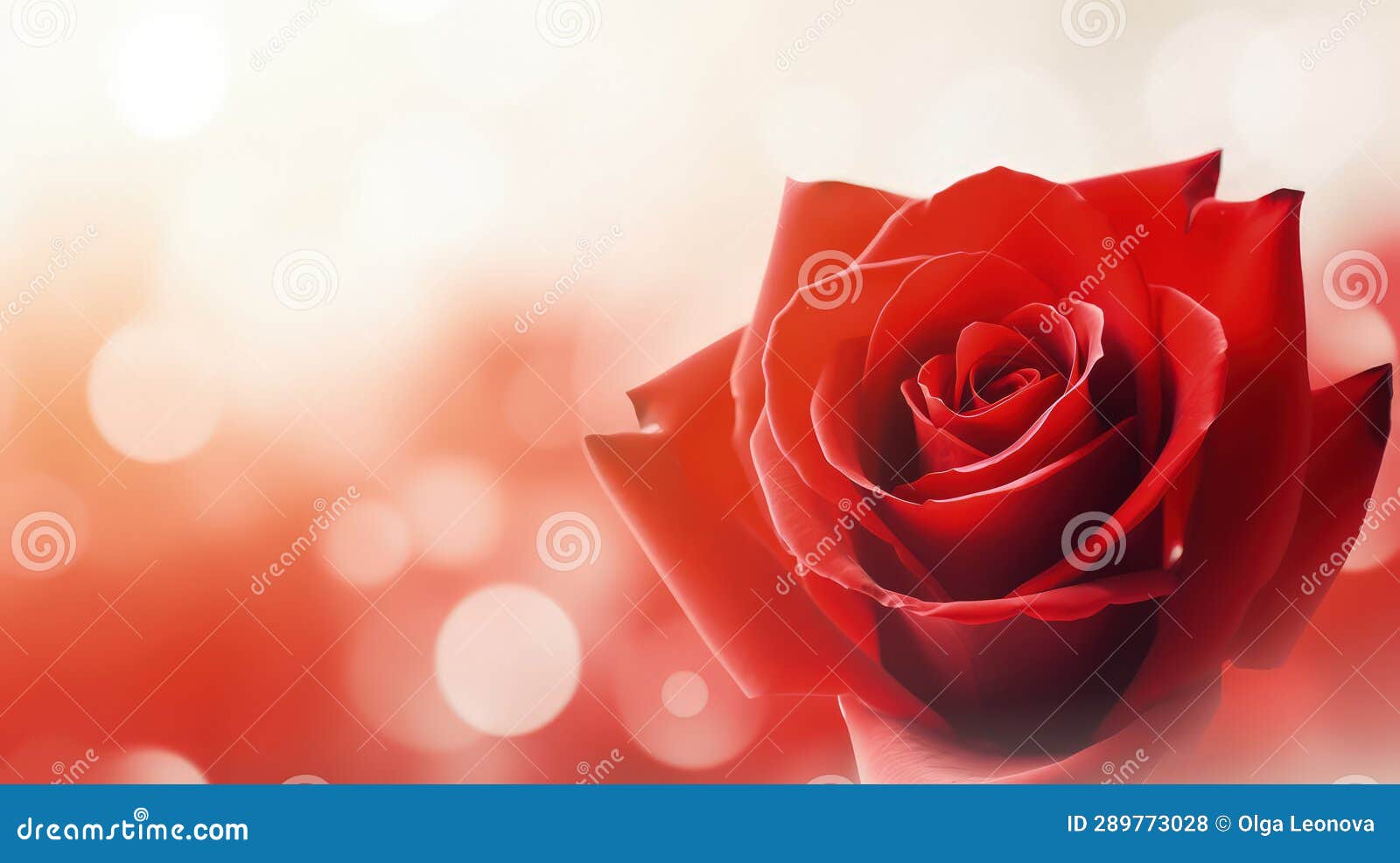 Roses banner stock illustration. Illustration of botany - 289773028