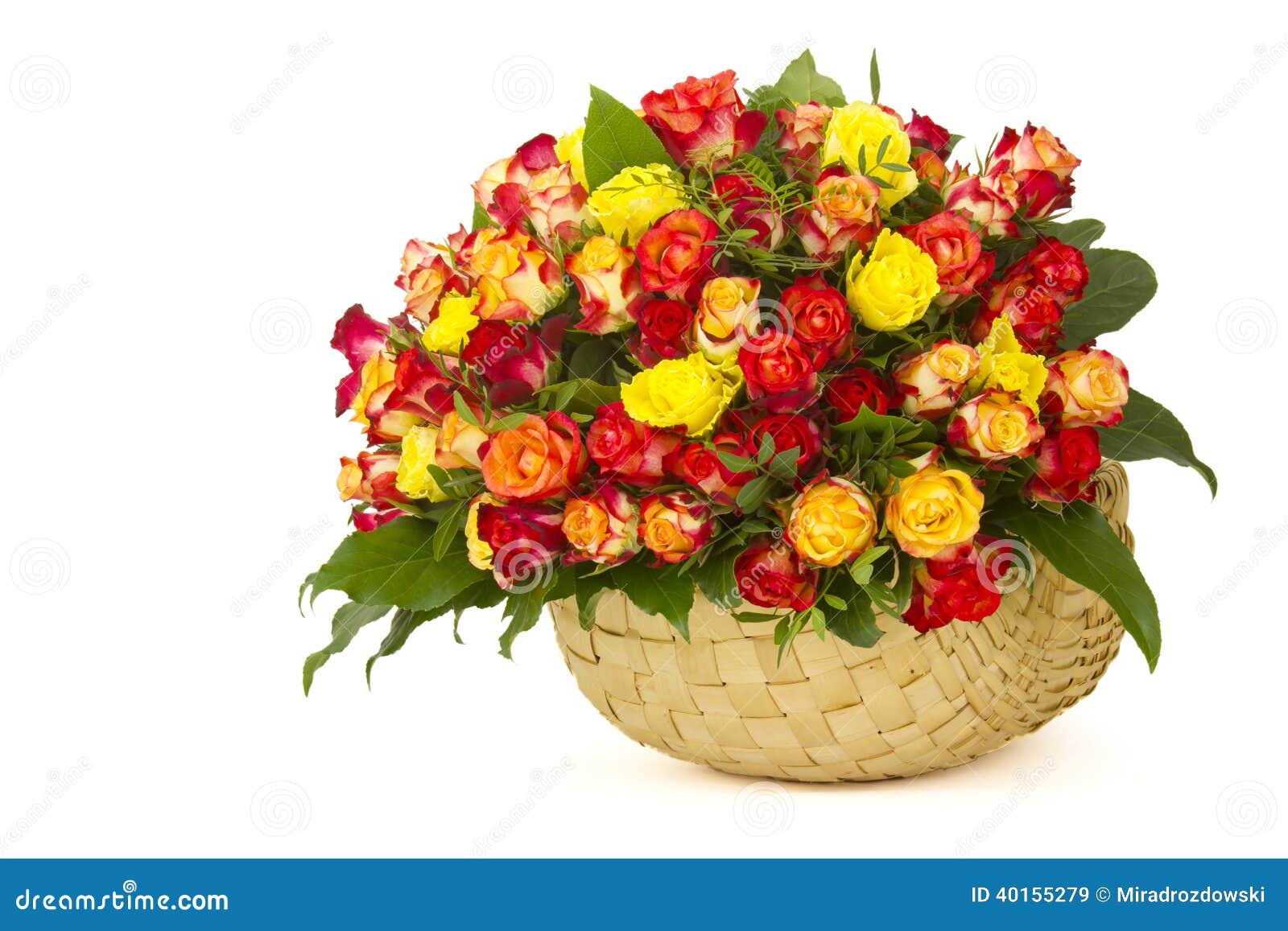 Roses in a basket stock image. Image of blooming, bloom - 40155279