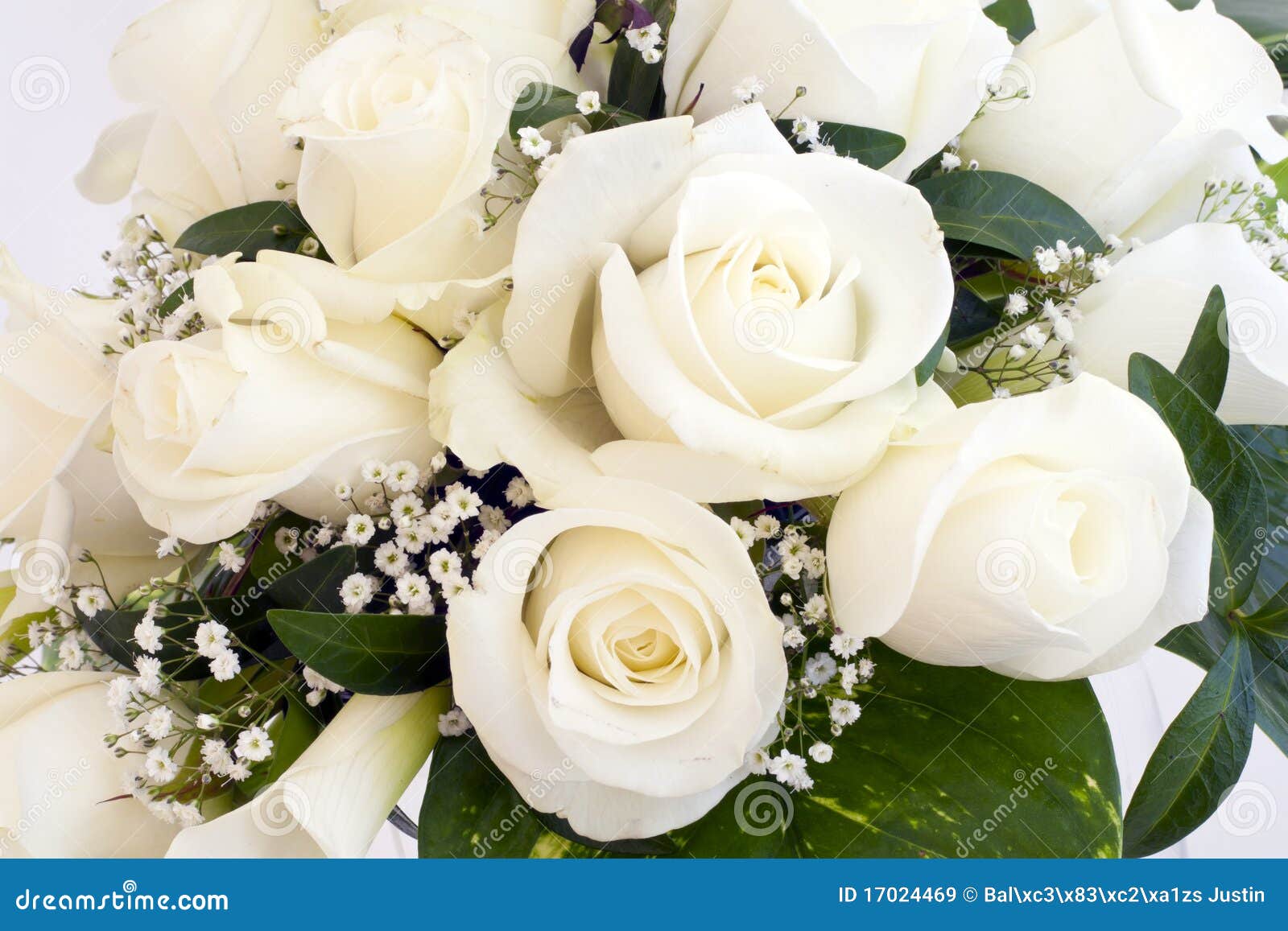 Roses blanches image stock. Image du bourgeon, beauté - 17024469