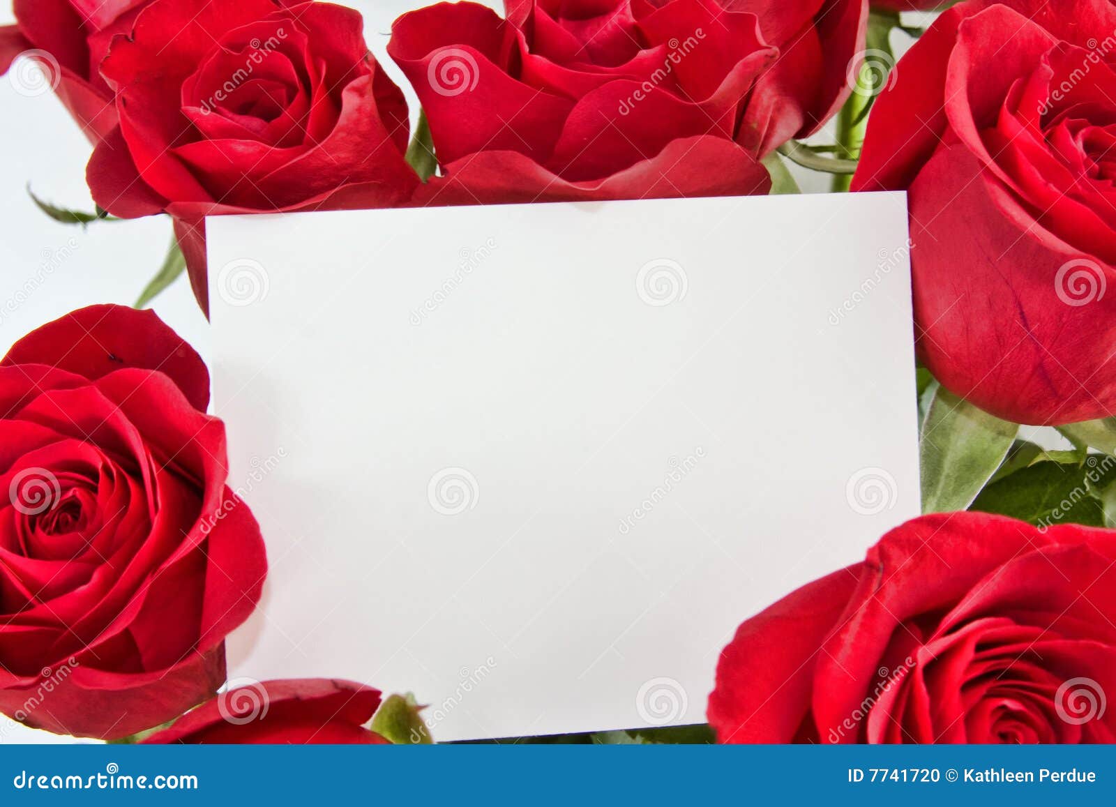 Roses and blank card stock photo. Image of mother, blank - 7741720