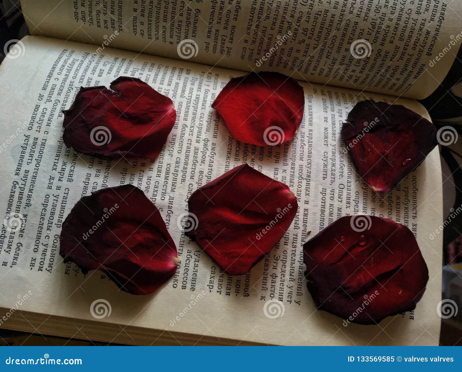 Roses in book stock image. Image of roses, woter, word - 133569585