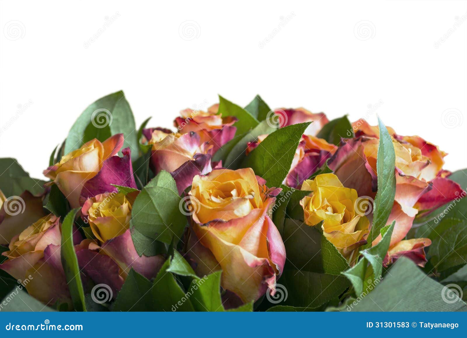 Roses bouquet stock image. Image of flower, color, flowers - 31301583