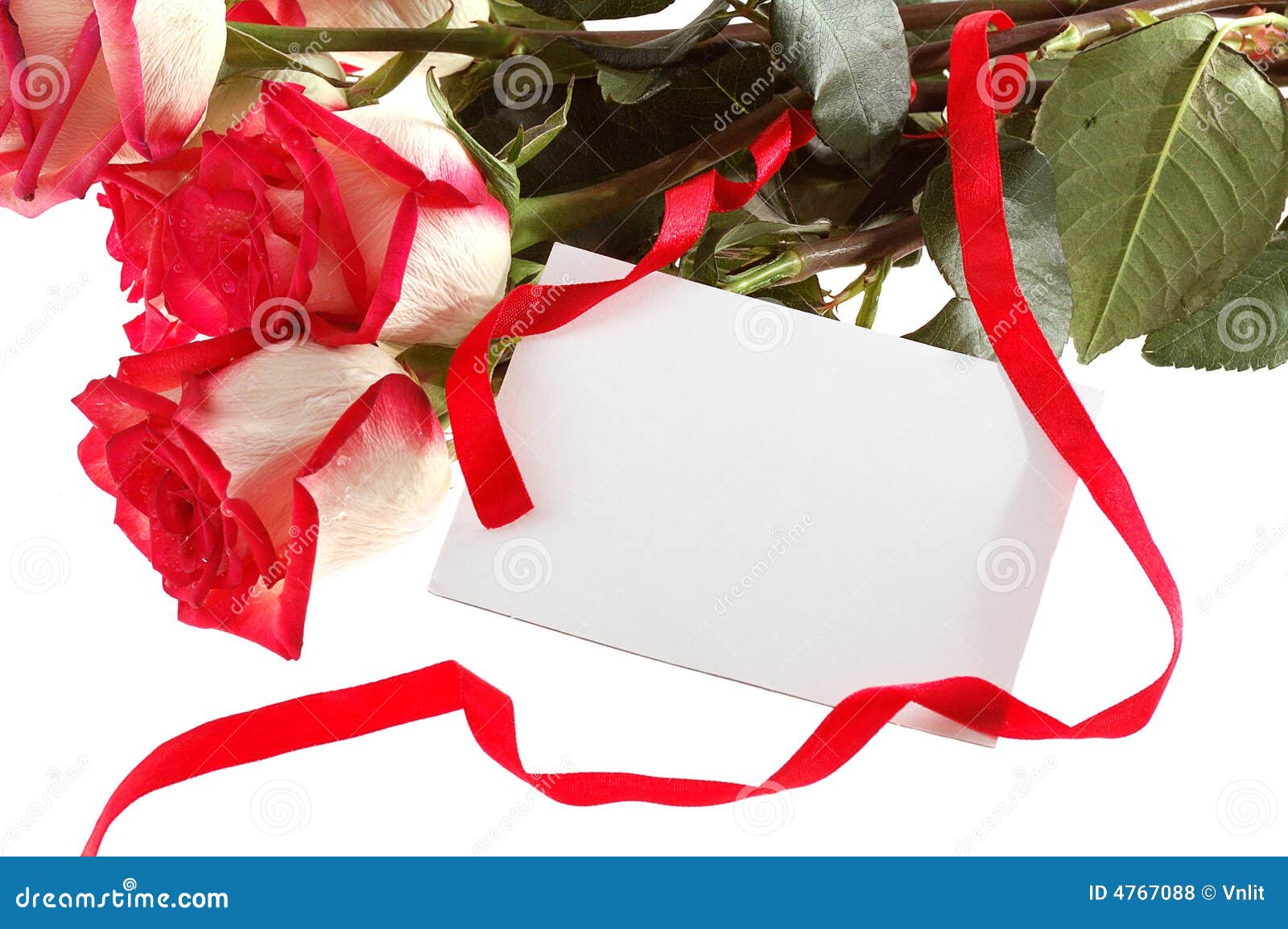 Roses bouquet with card stock photo. Image of anniversary - 4767088
