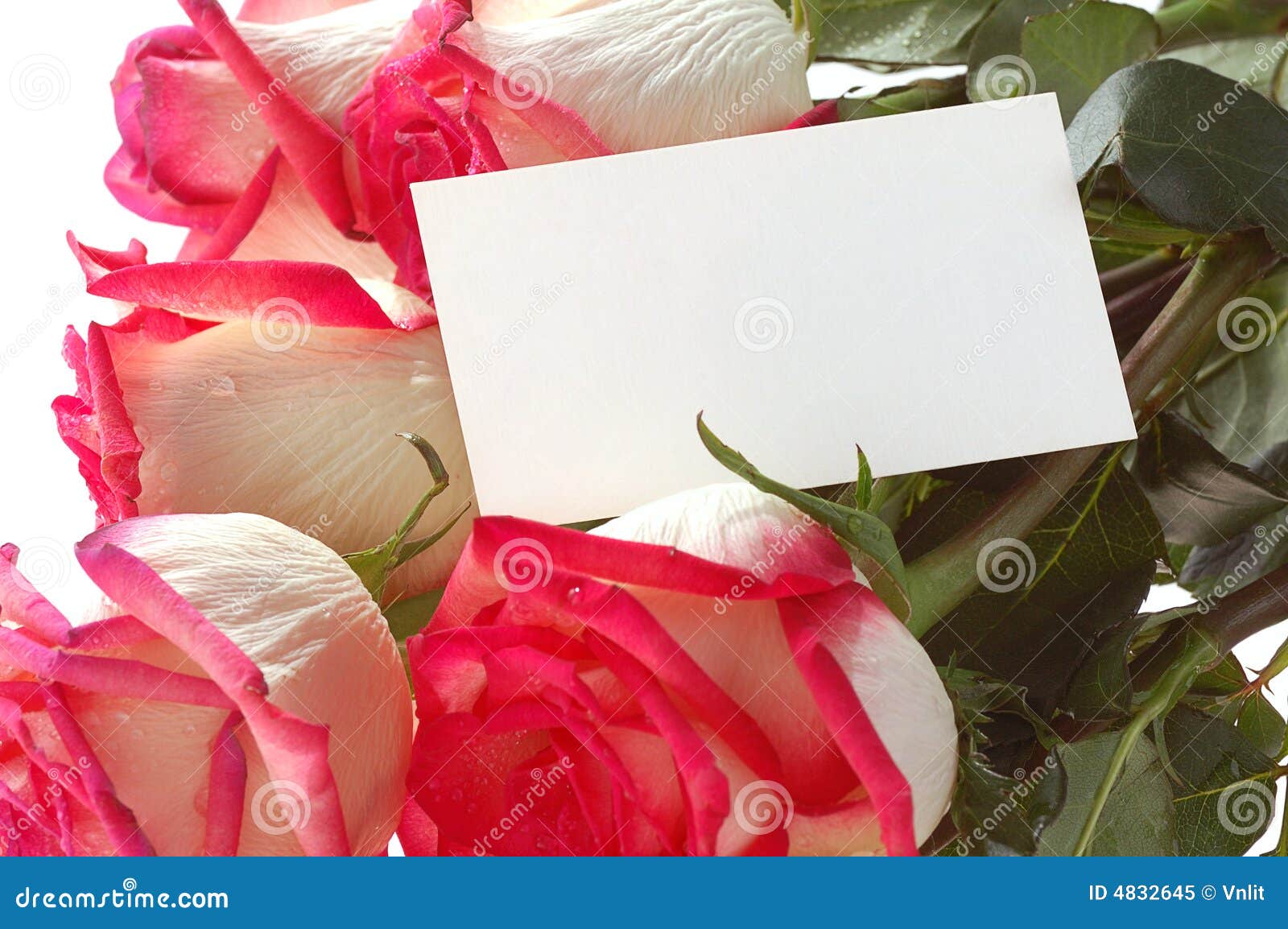 Roses bouquet with card stock image. Image of elegance - 4832645