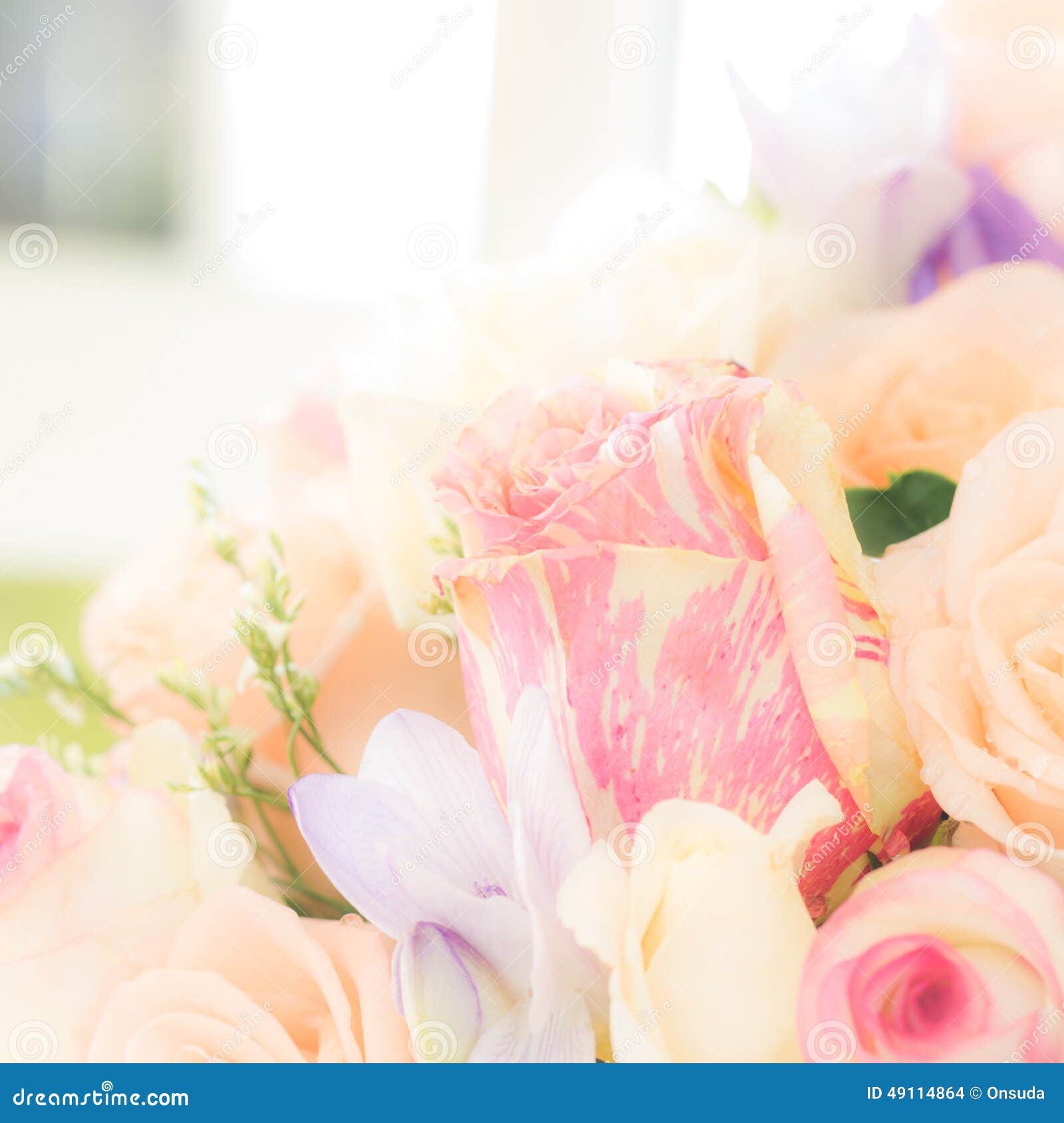 Roses bouquet stock photo. Image of love, nature, flora - 49114864