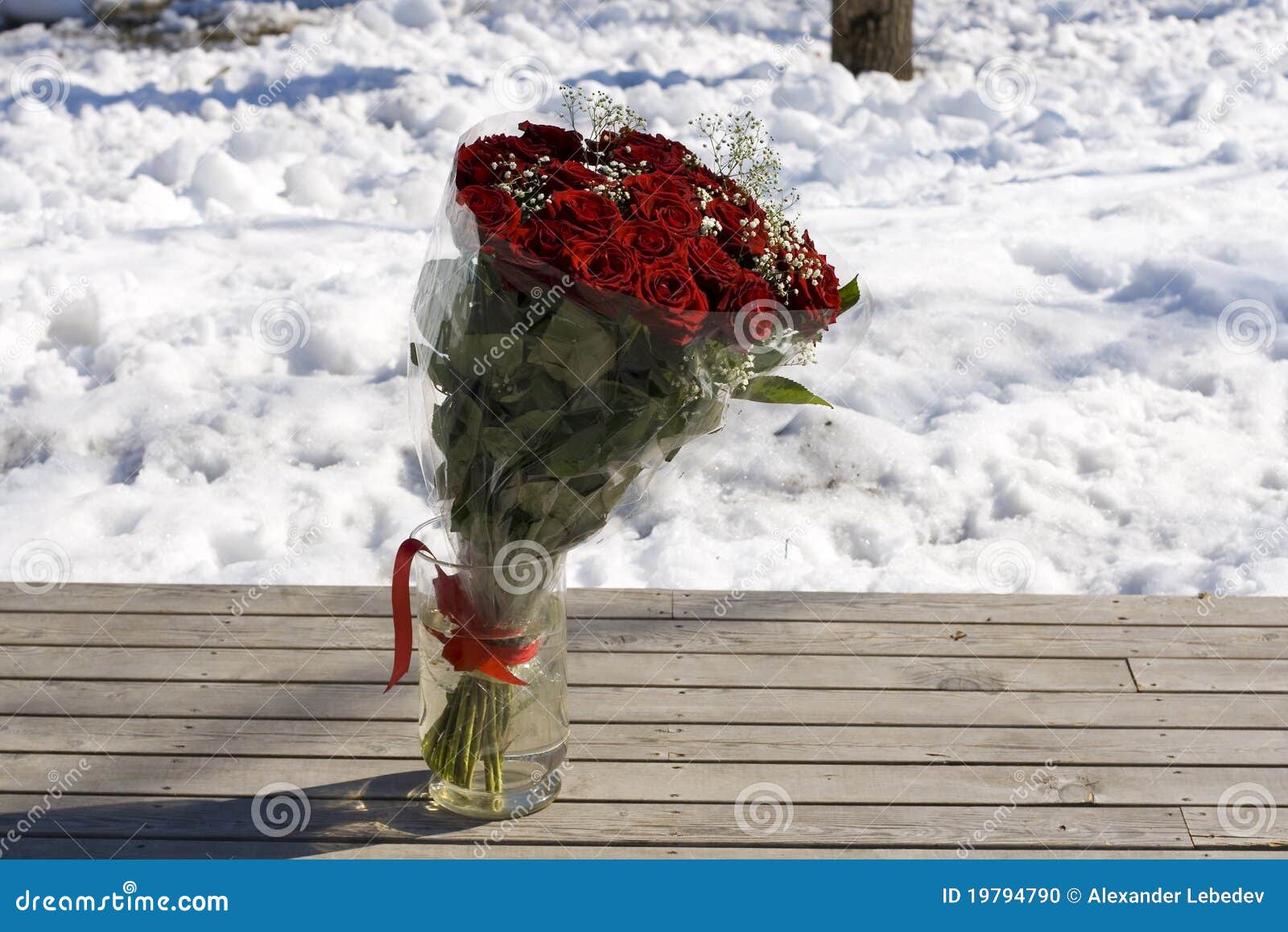 Roses bouquet on the snow stock photo. Image of romantic - 19794790