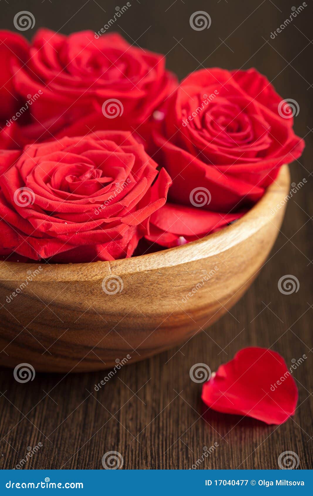 Roses in bowl stock image. Image of delicate, rose, beautiful - 17040477