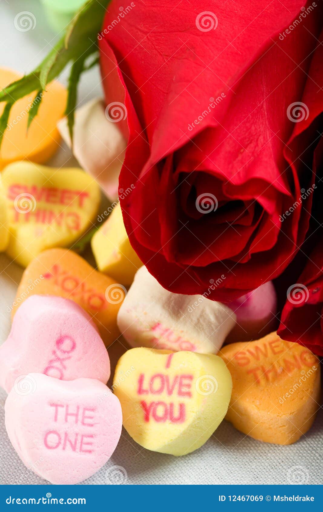 Roses and Candy Hearts stock image. Image of valentine - 12467069