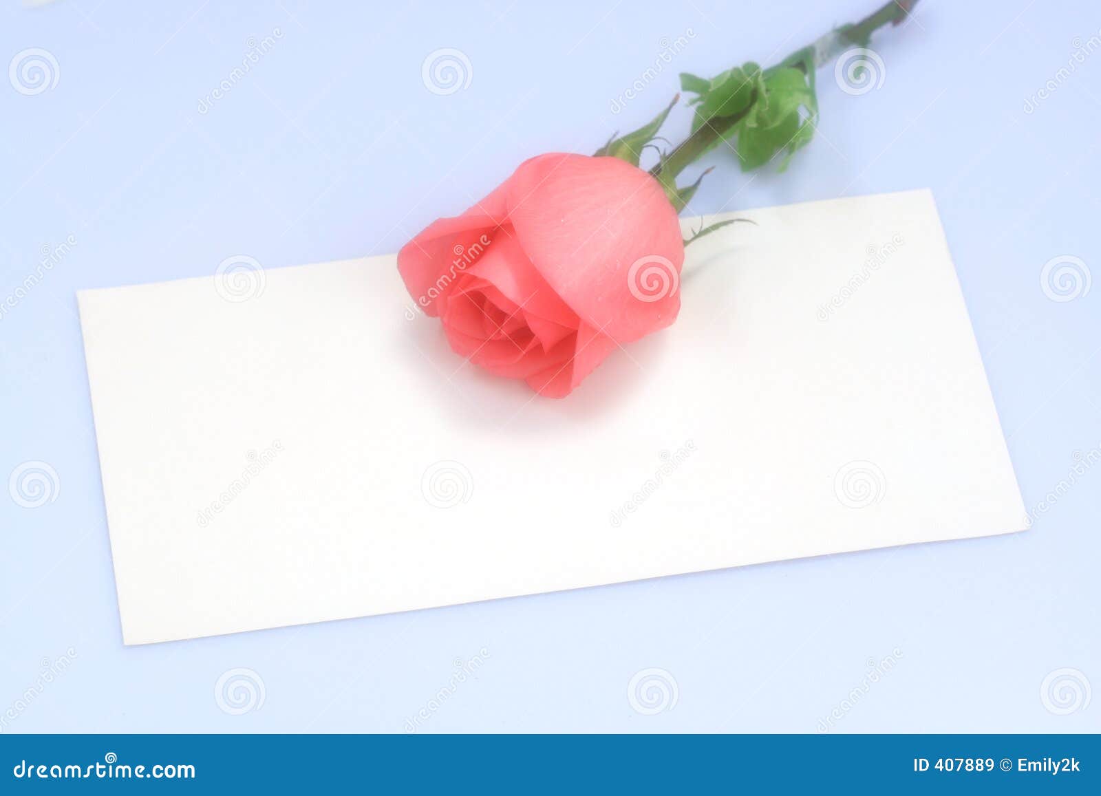 Roses on Card stock image. Image of occasion, floral, rose - 407889