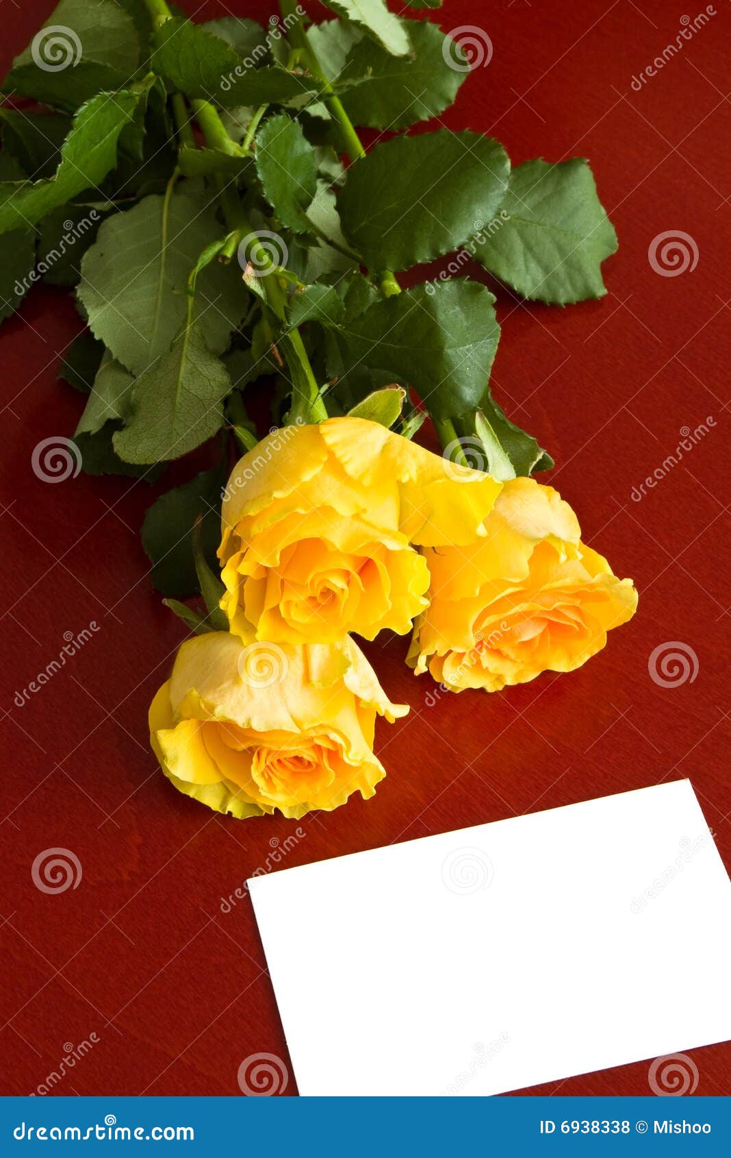 Roses and card stock photo. Image of elegant, simple, beautiful - 6938338