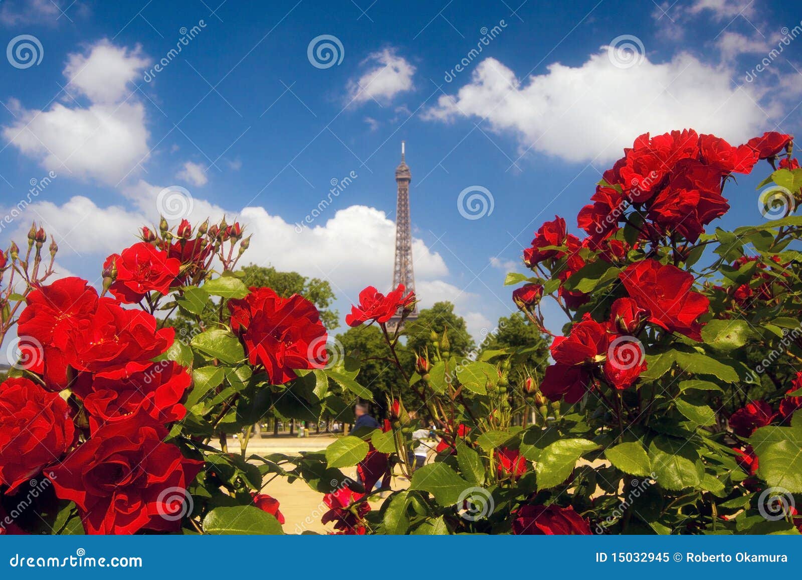 Roses at Champ de Mars stock image. Image of eiffel, greenspace - 15032945