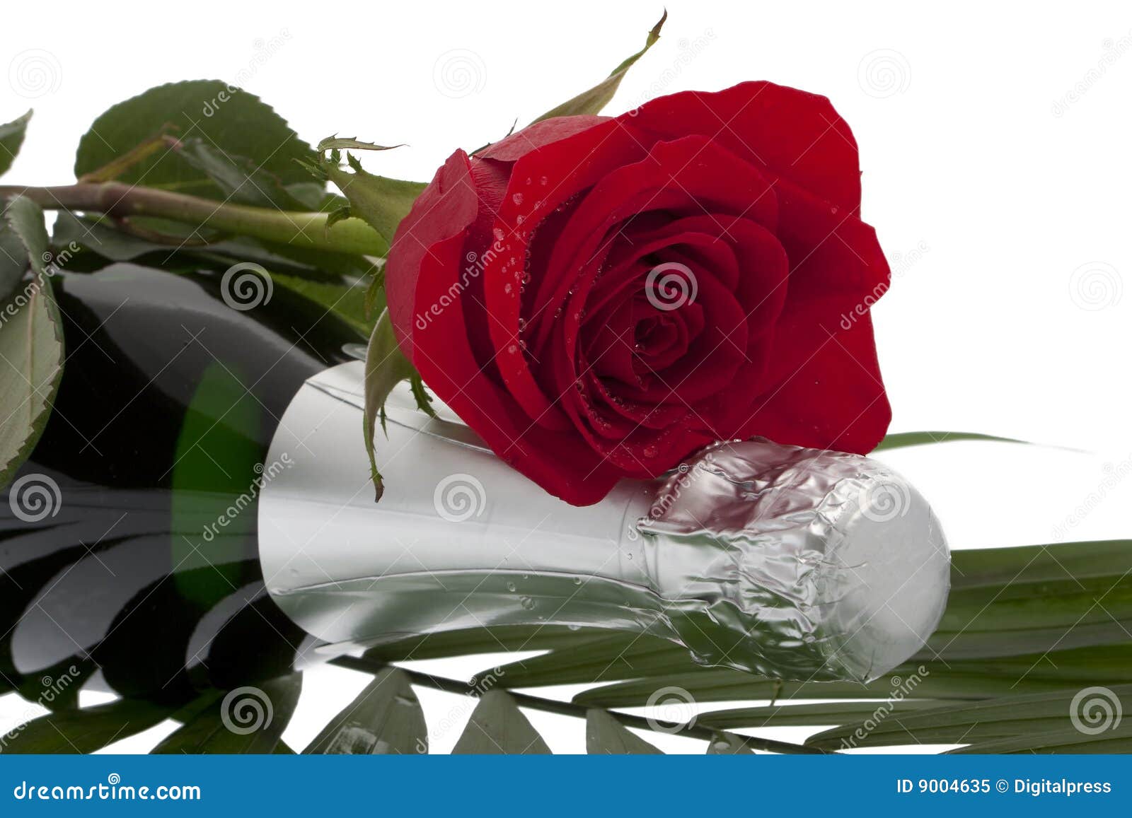 Roses with Champagne Bottle Stock Image - Image of celebration ...