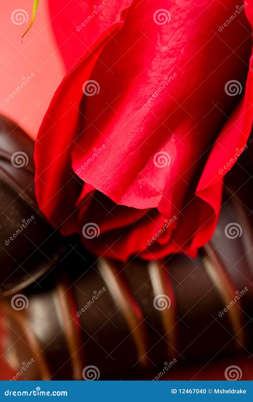 Roses and Chocolate Candy stock photo. Image of romance - 12467040