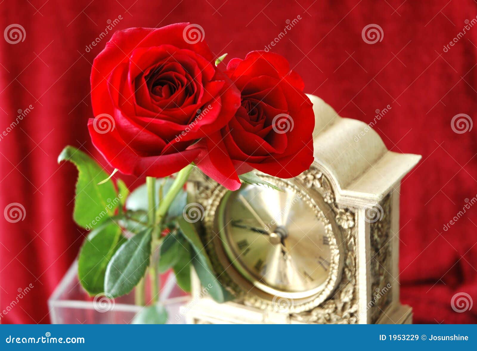 Roses with Clock stock image. Image of valentines, decorative - 1953229