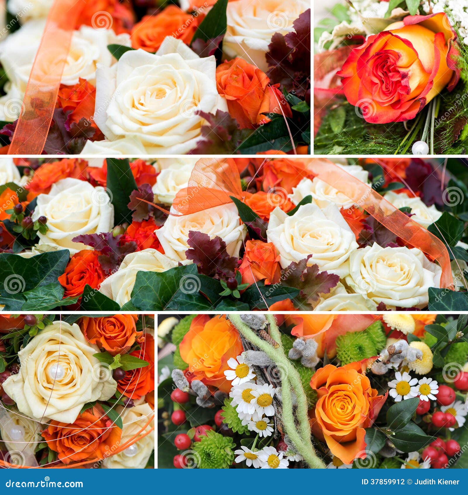 Roses collage stock photo. Image of emotion, collage - 37859912