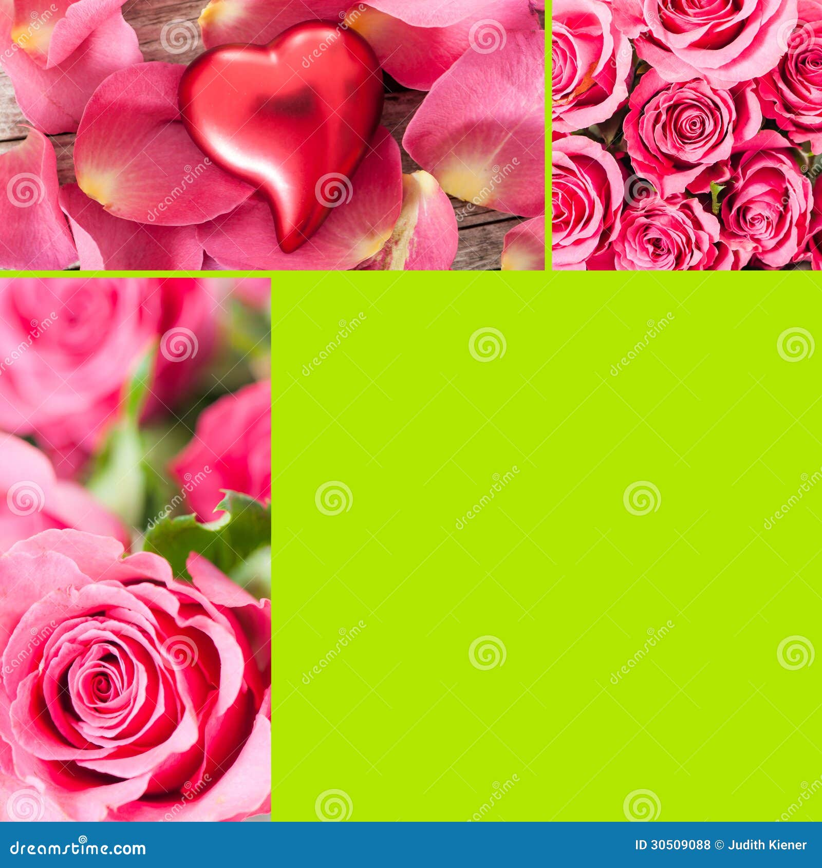 Roses collage stock photo. Image of setting, decorated - 30509088