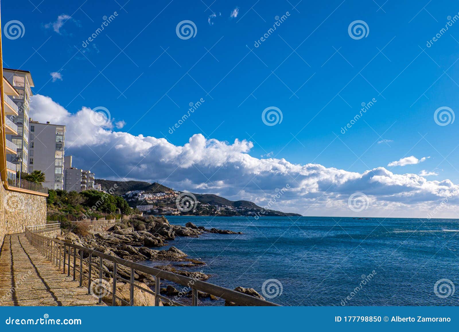 Roses on Costa Brava, Catalonia, Spain. Stock Photo - Image of palmtree ...