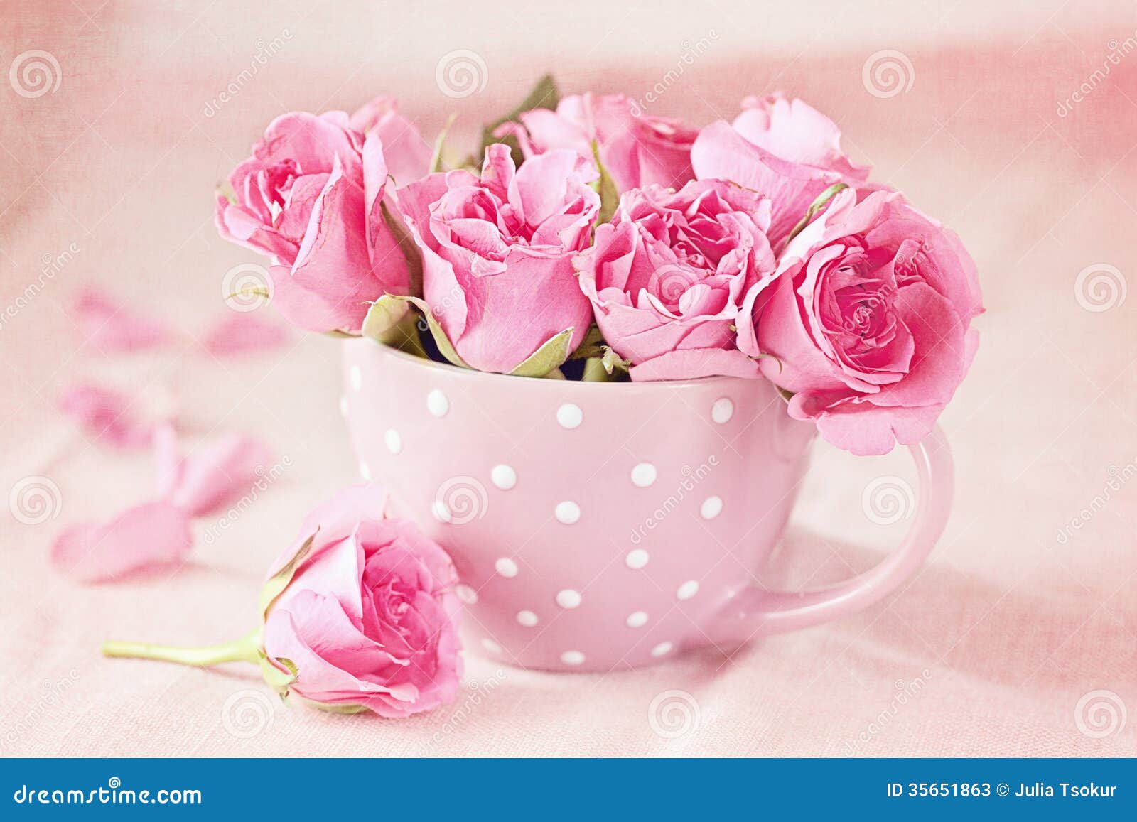 Roses in a cup stock image. Image of card, closeup, floral - 35651863