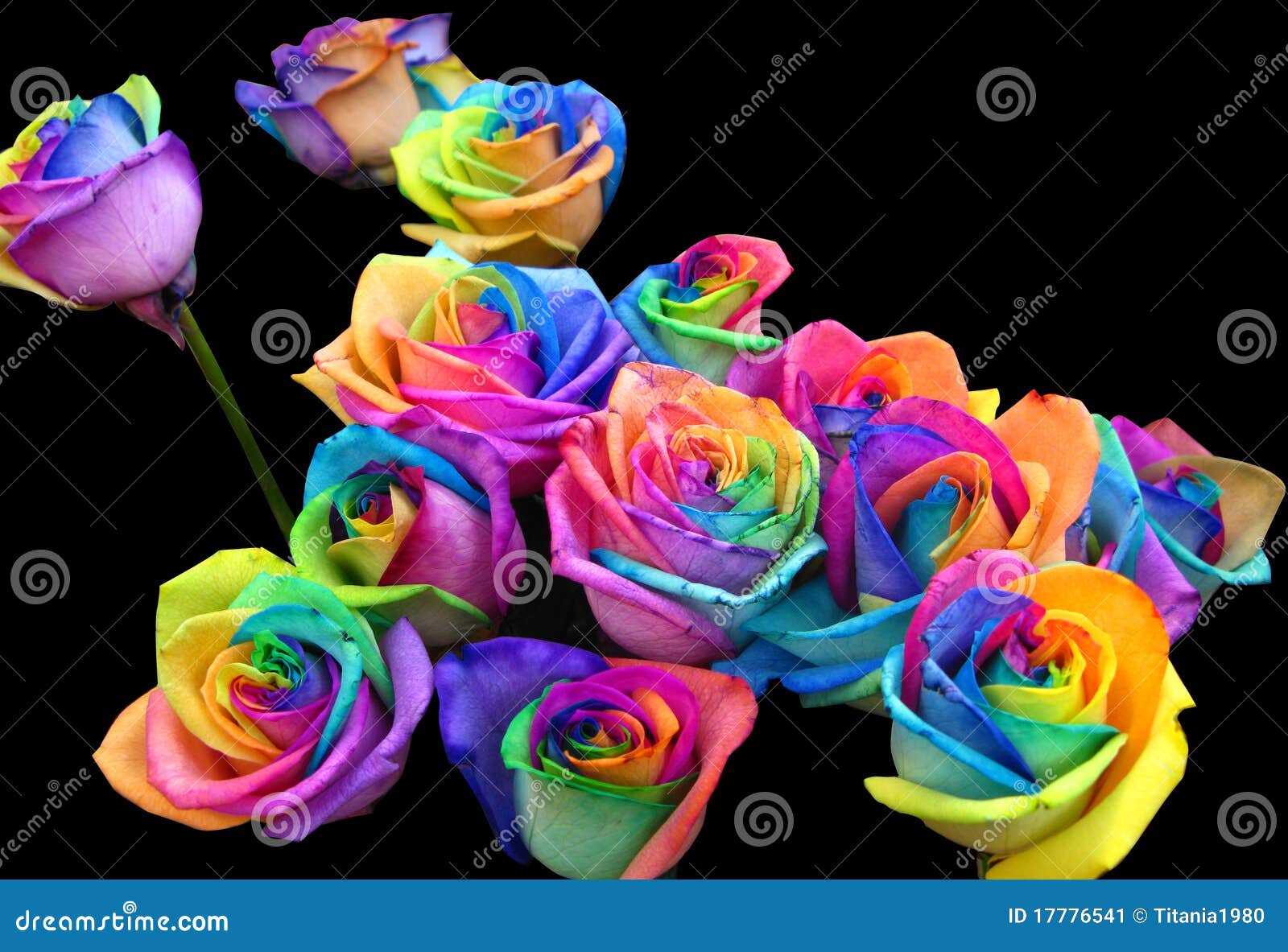 Roses d'arc-en-ciel image stock. Image du couleurs, beau - 17776541