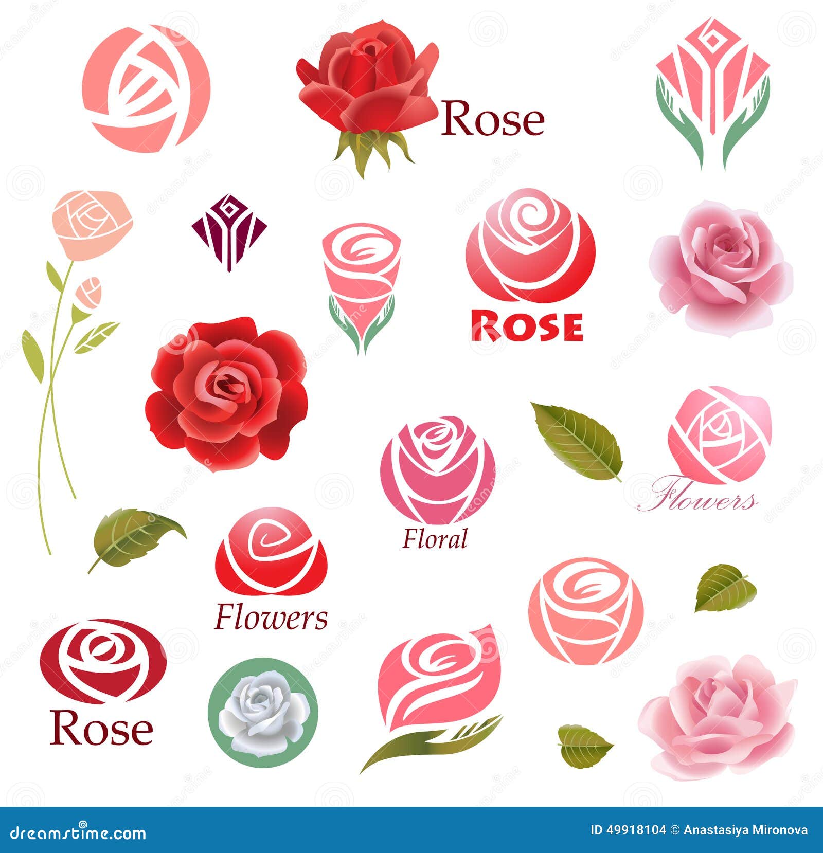 Roses design elements stock vector. Illustration of brie - 49918104
