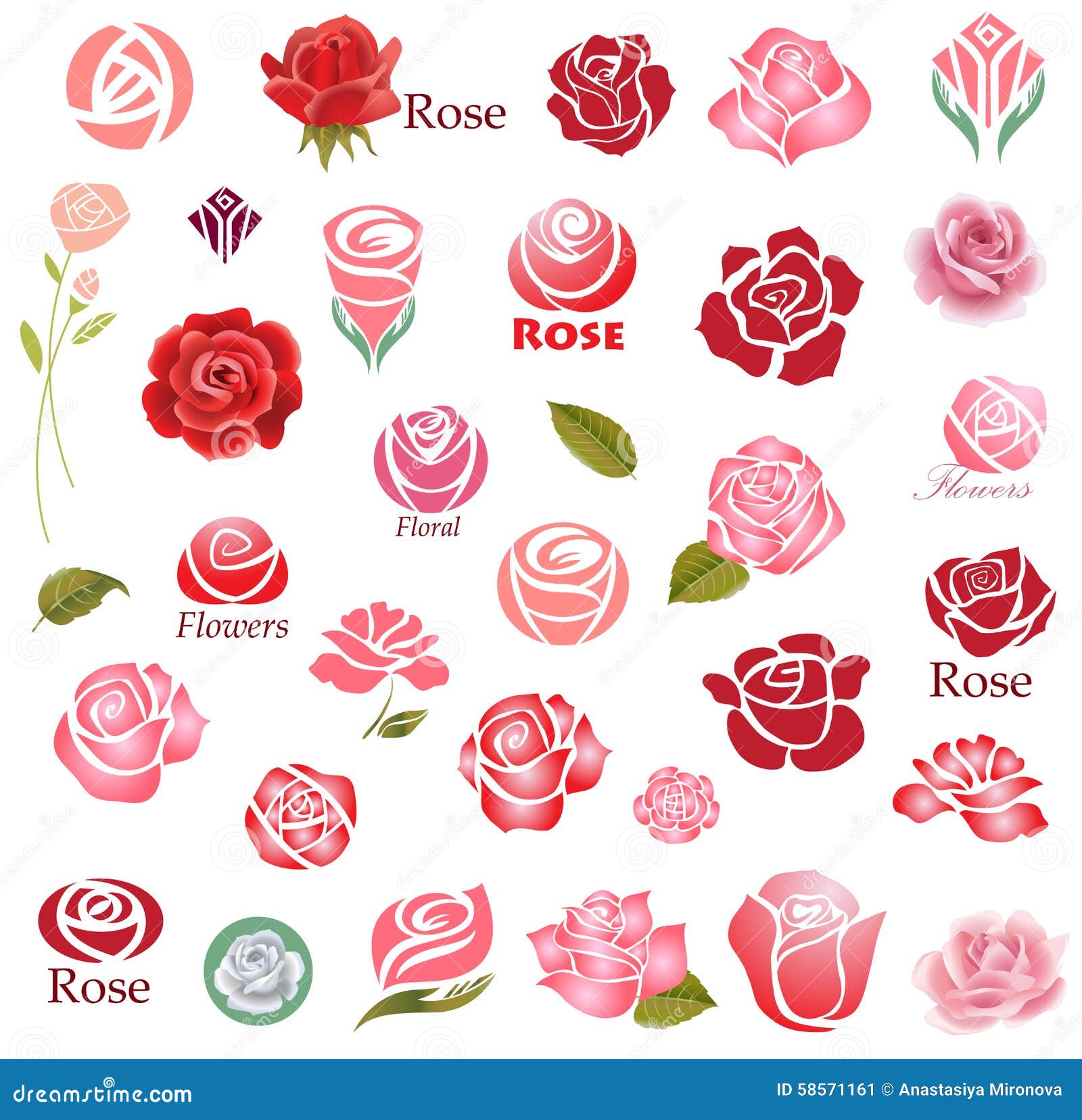 Roses design elements stock vector. Illustration of elegant - 58571161