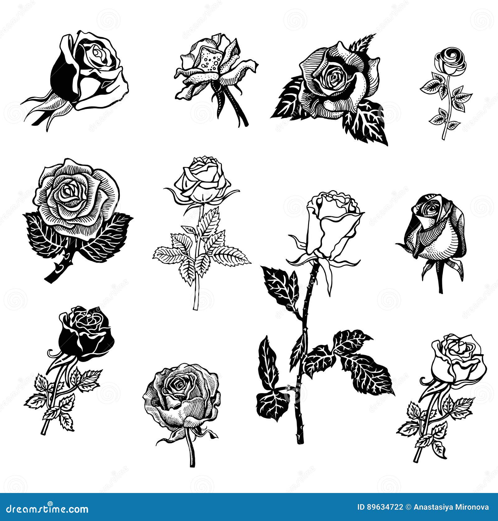 Roses design elements stock vector. Illustration of border - 89634722