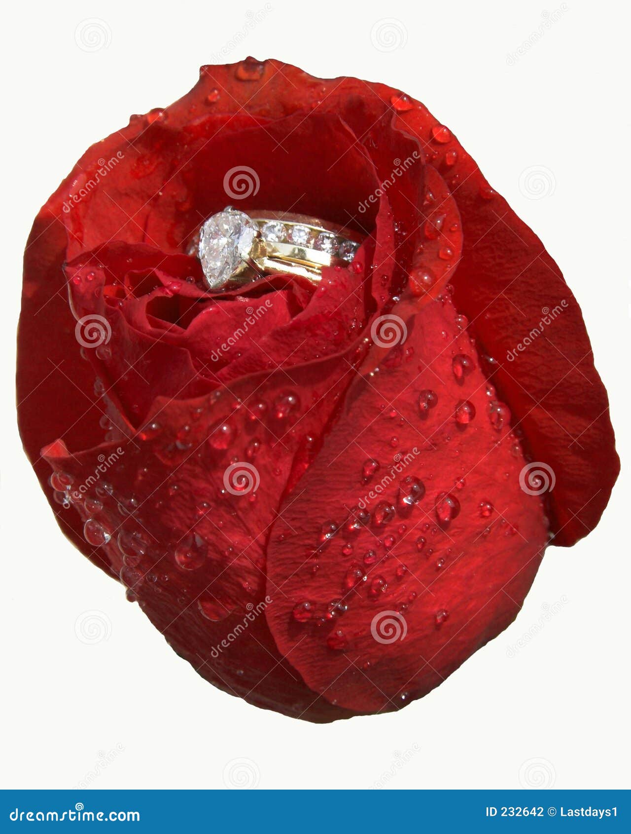 Roses & Diamonds (isolated) Stock Photo - Image of forever, bond: 232642