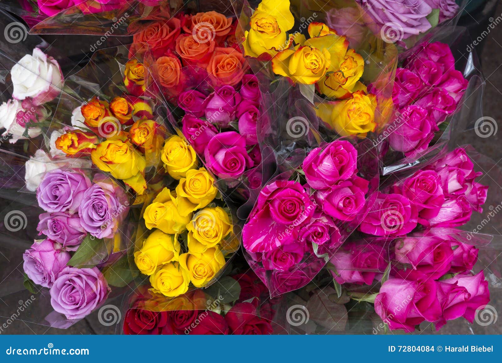 Roses of different colors stock photo. Image of bouquet - 72804084