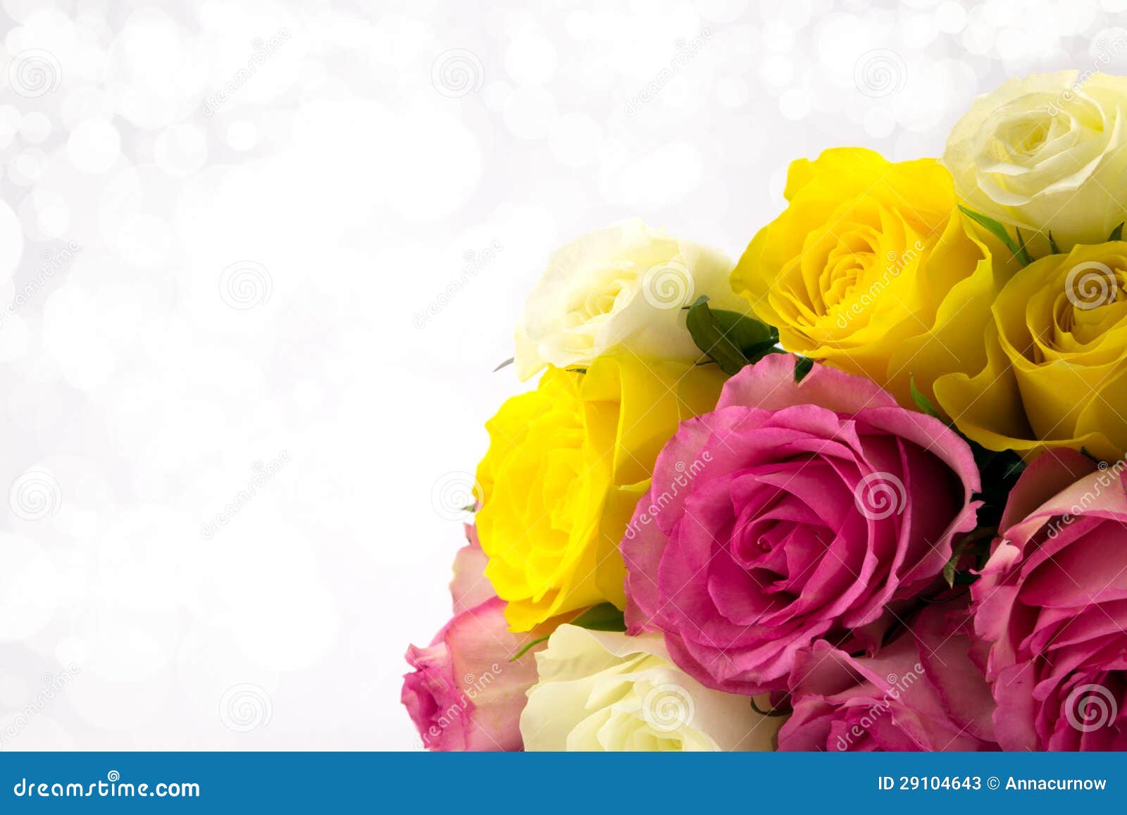 Roses with Diffused Background. Stock Image - Image of bouquet, blooms ...