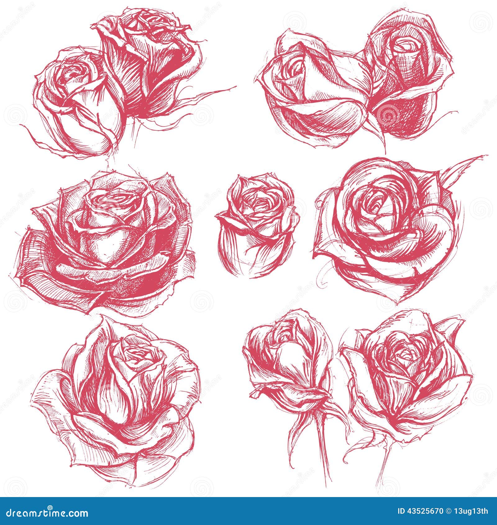 Roses Drawing set 001 stock vector. Illustration of curve - 43525670