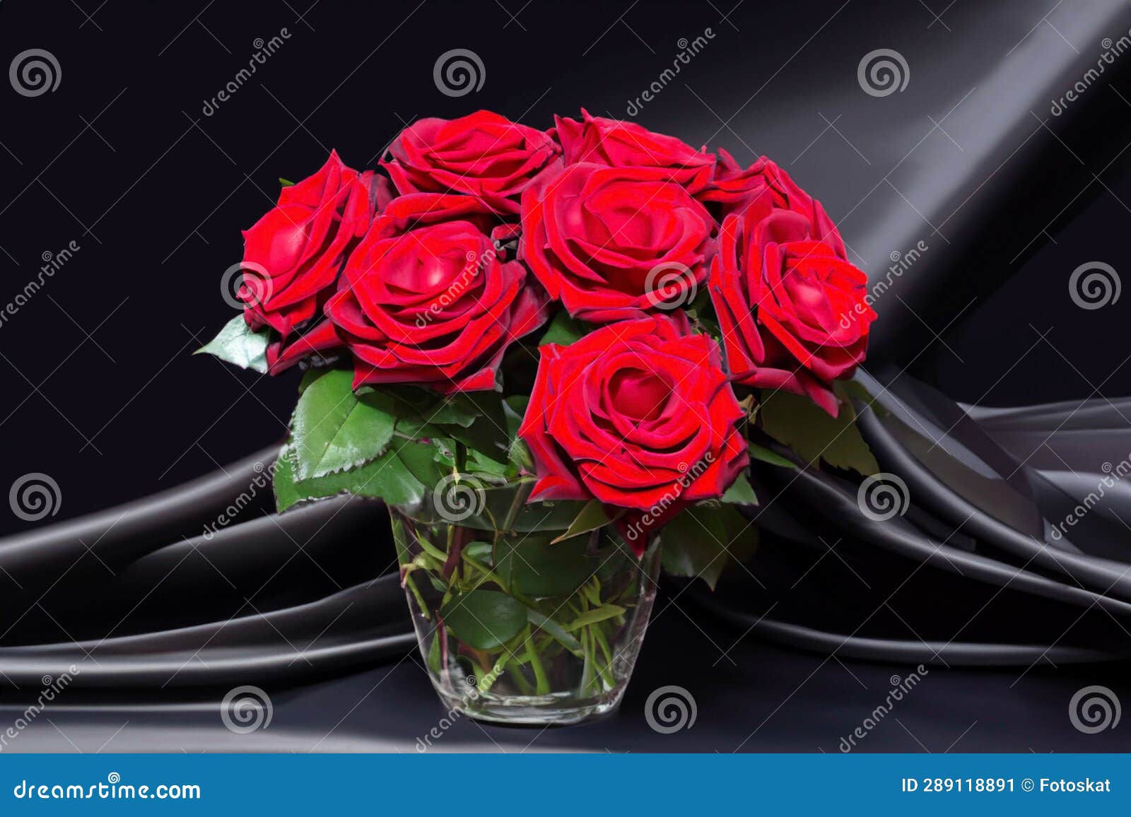 Roses on the Fabric Background Stock Illustration - Illustration of ...