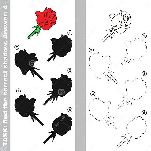 Roses. Find True Correct Shadow. Stock Vector - Illustration of answer ...
